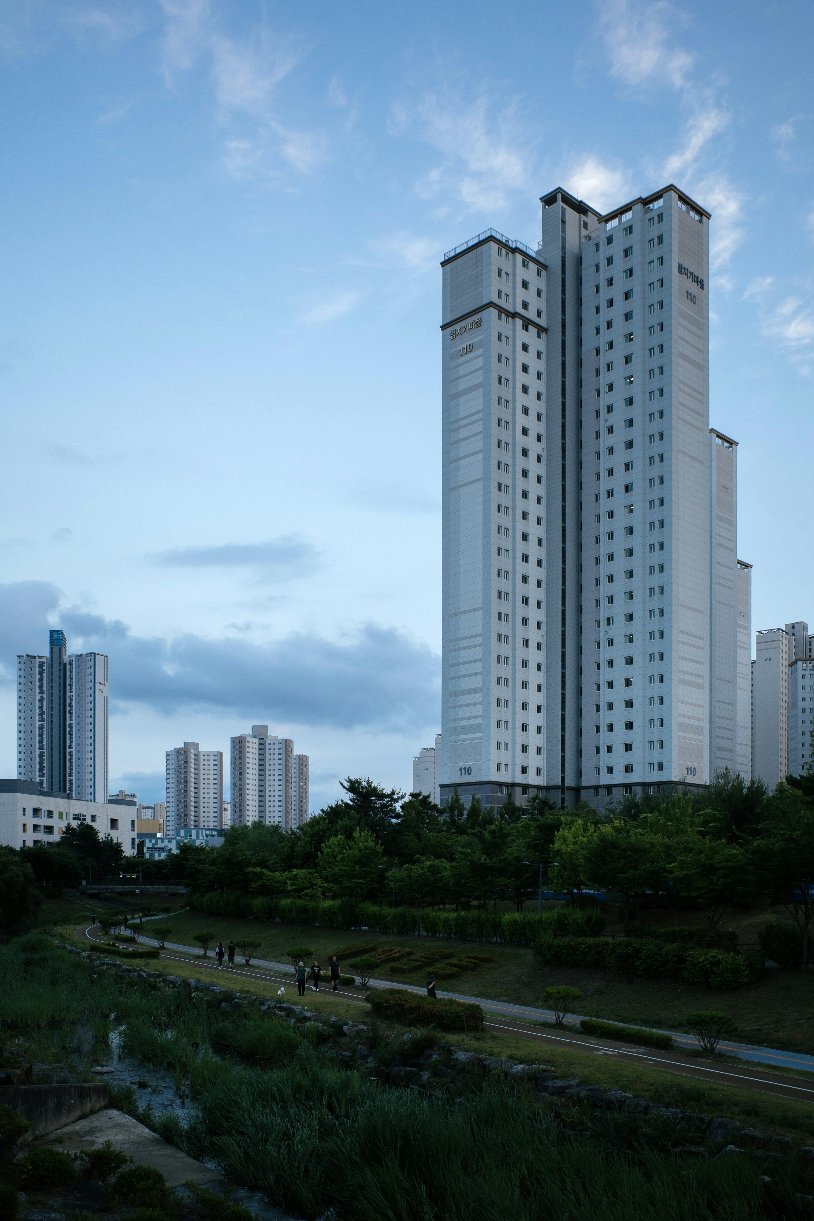 Skybound Towers Over a Quiet Park Path
