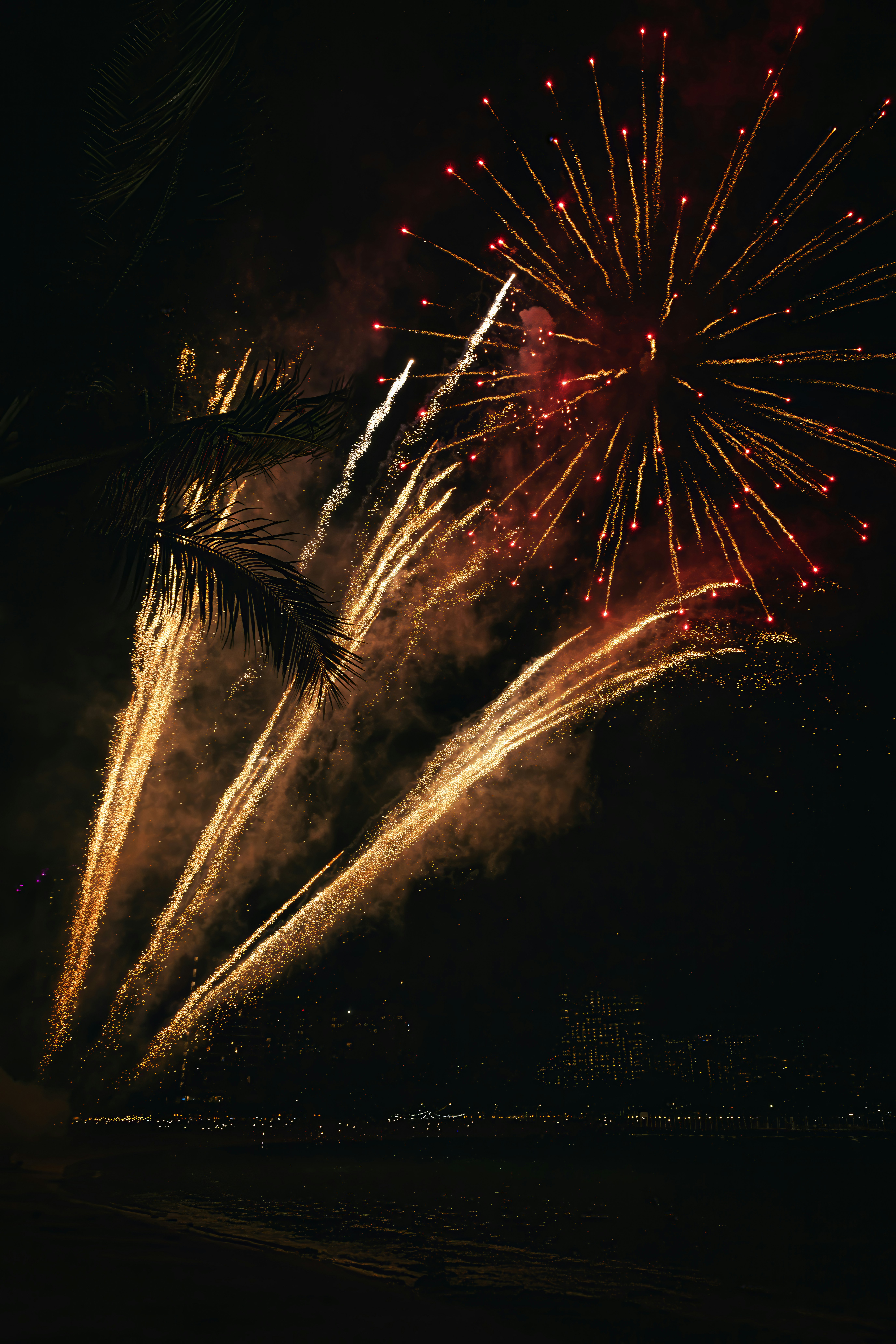 A fireworks display with palm trees and buildings in the background ...