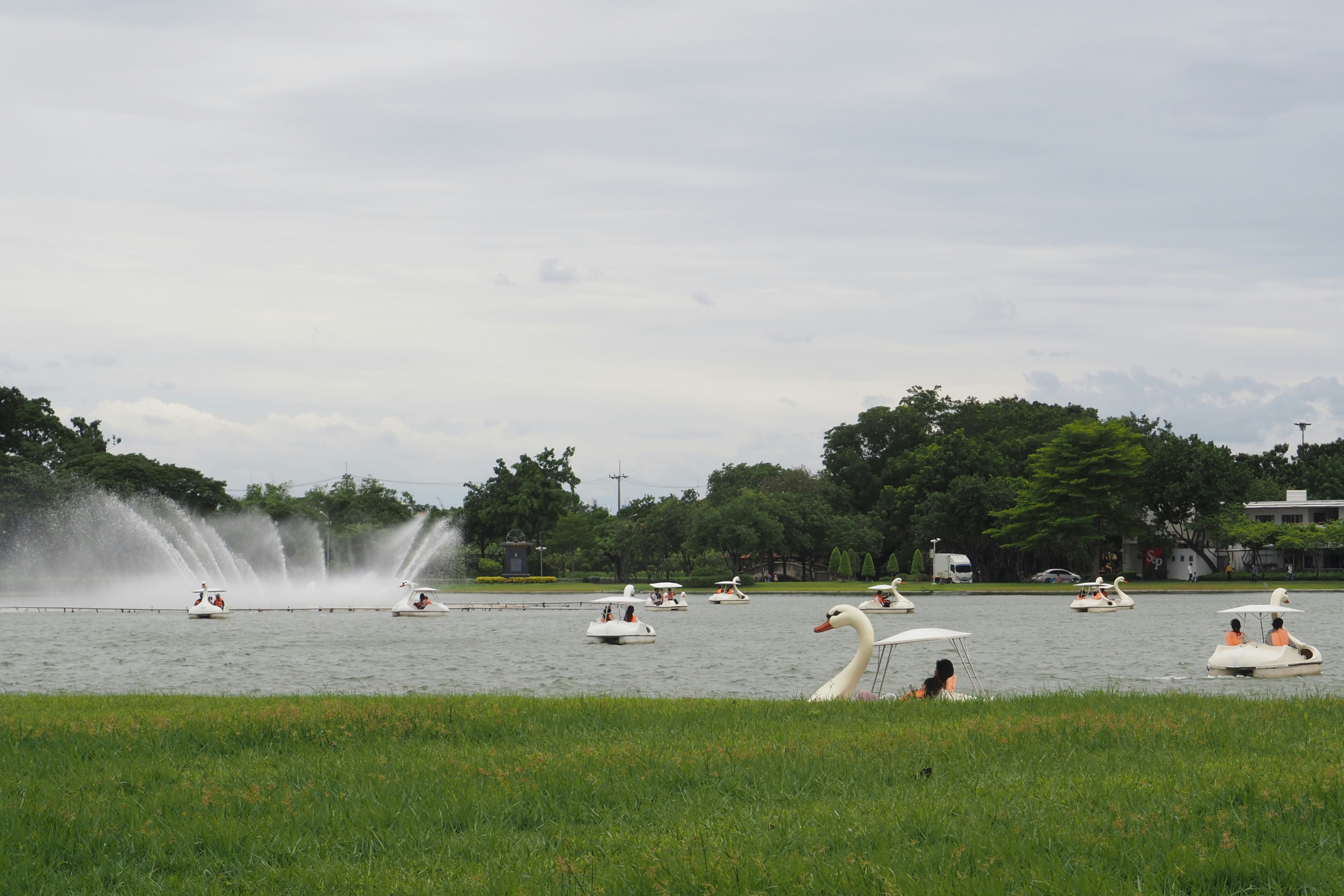 Paddle boats shaped like swans glide across a tranquil lake, with a fountain spraying water in the background, creating a serene recreational scene.