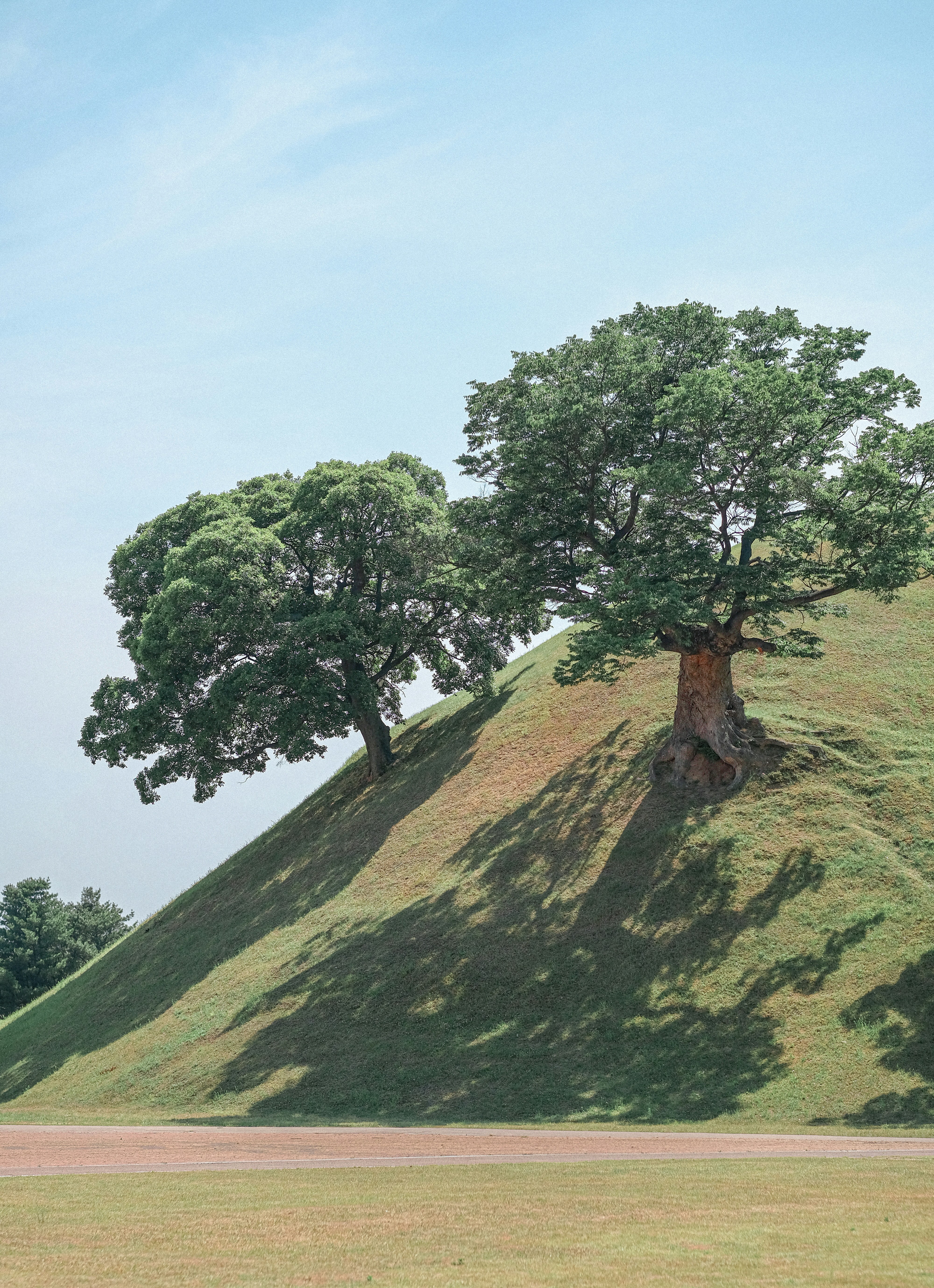 Photo by yiseul han with Fujifilm X-E3