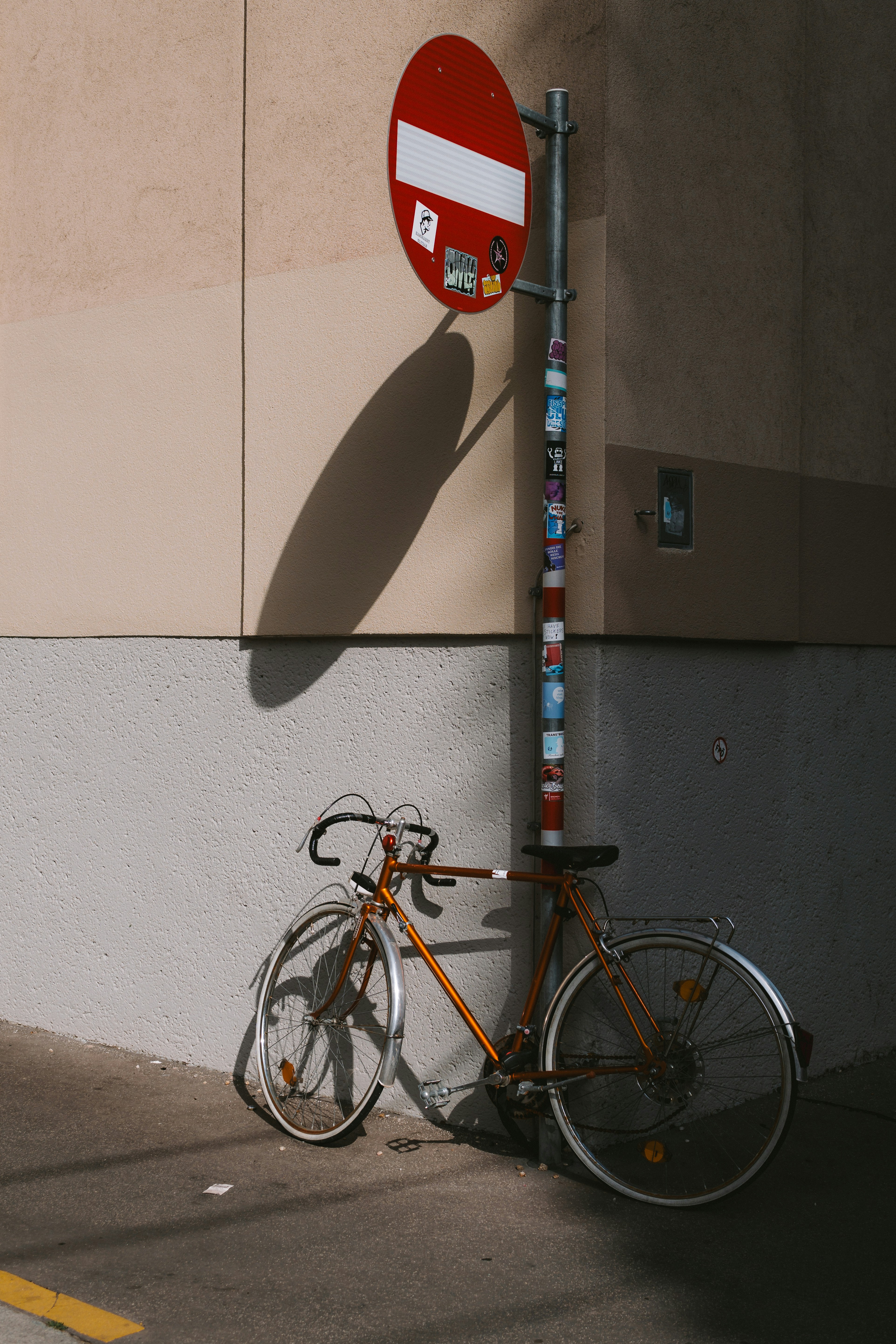 Photo by Aleksandra Kovacic with Sony Alpha 6700