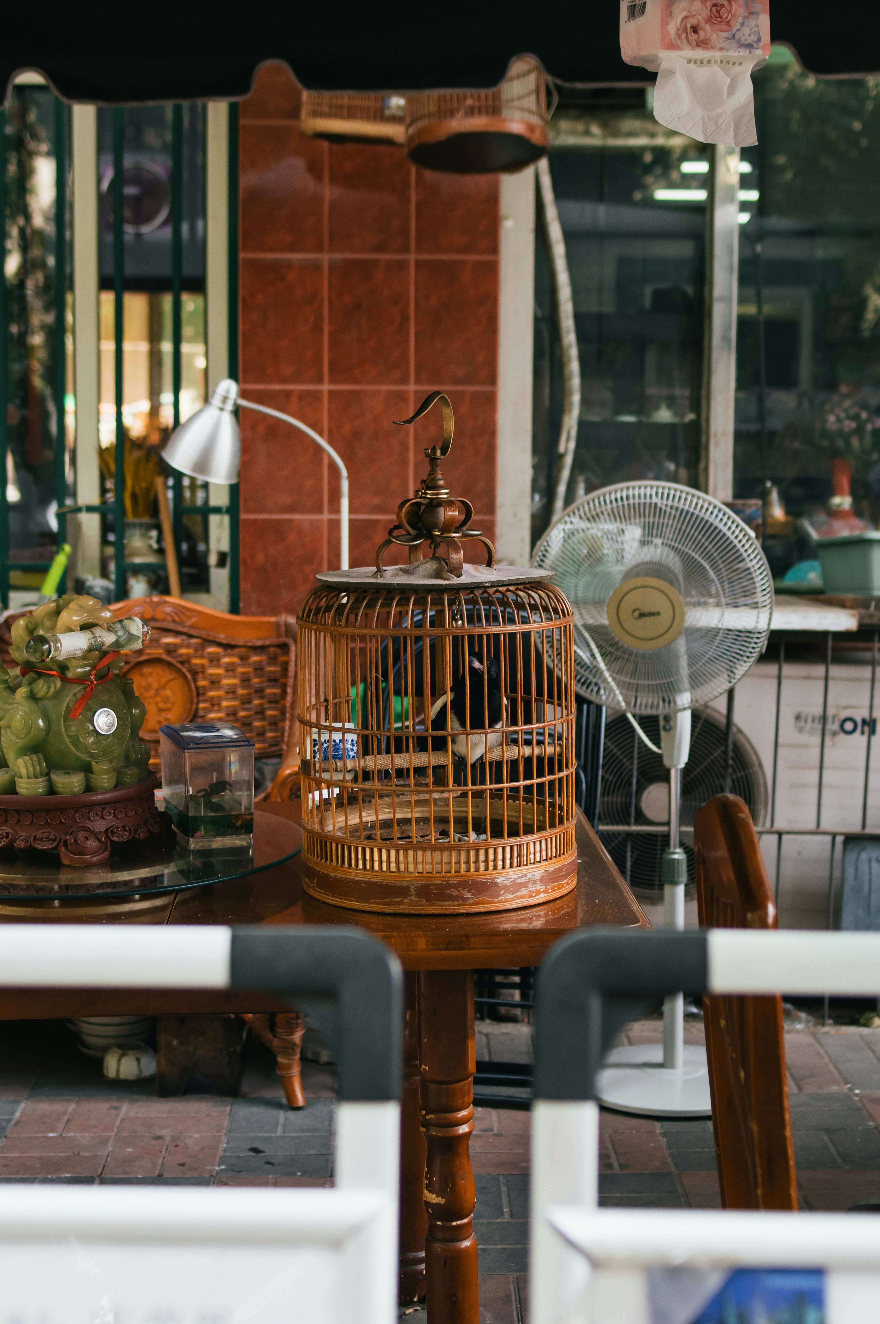 Vintage Birdcage Centerpiece in a Quiet Café Display