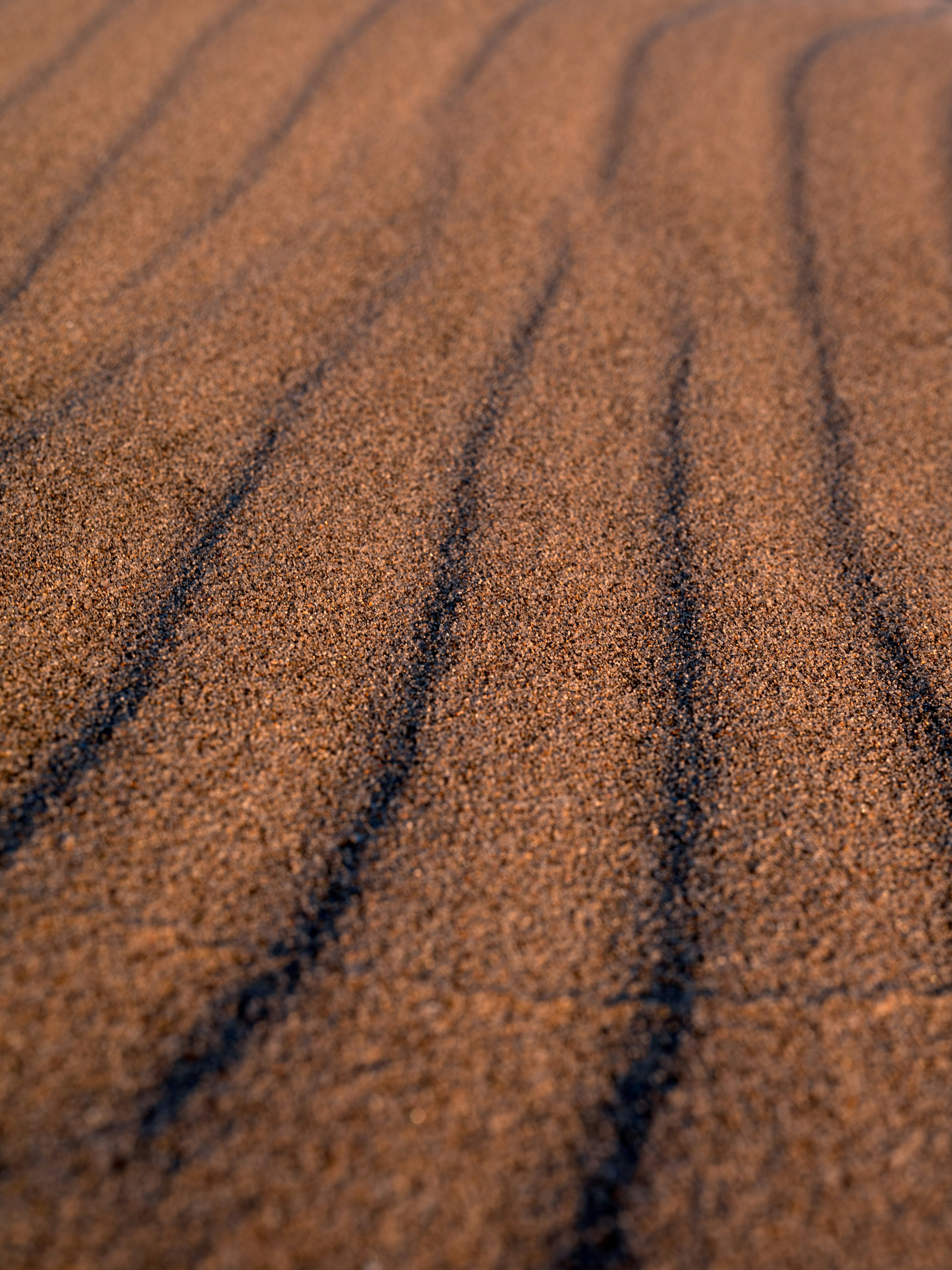A sandy area with lines in the sand photo – Free Los angeles Image on ...