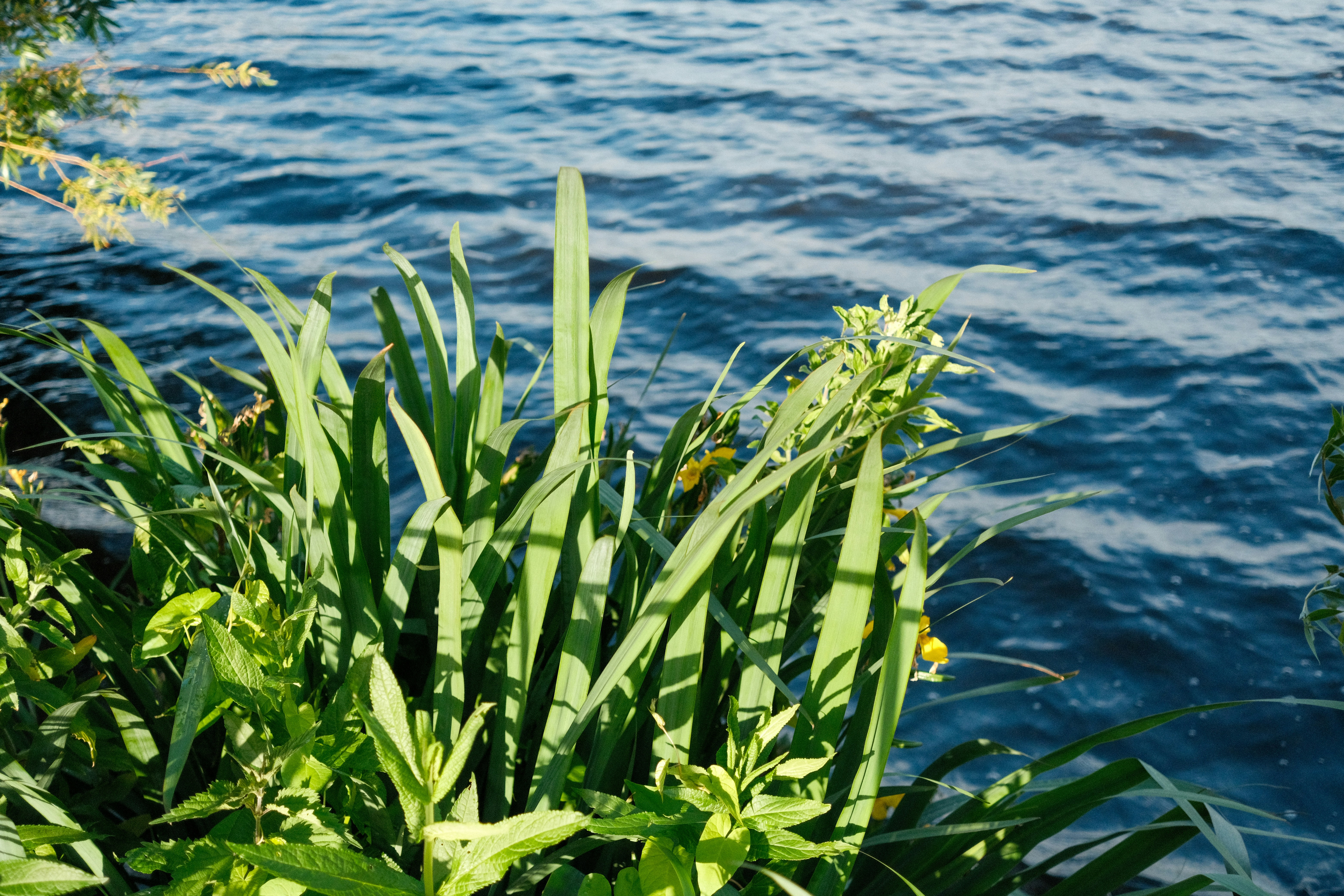 Photo by Robert Katzki with Fujifilm X-T30 II