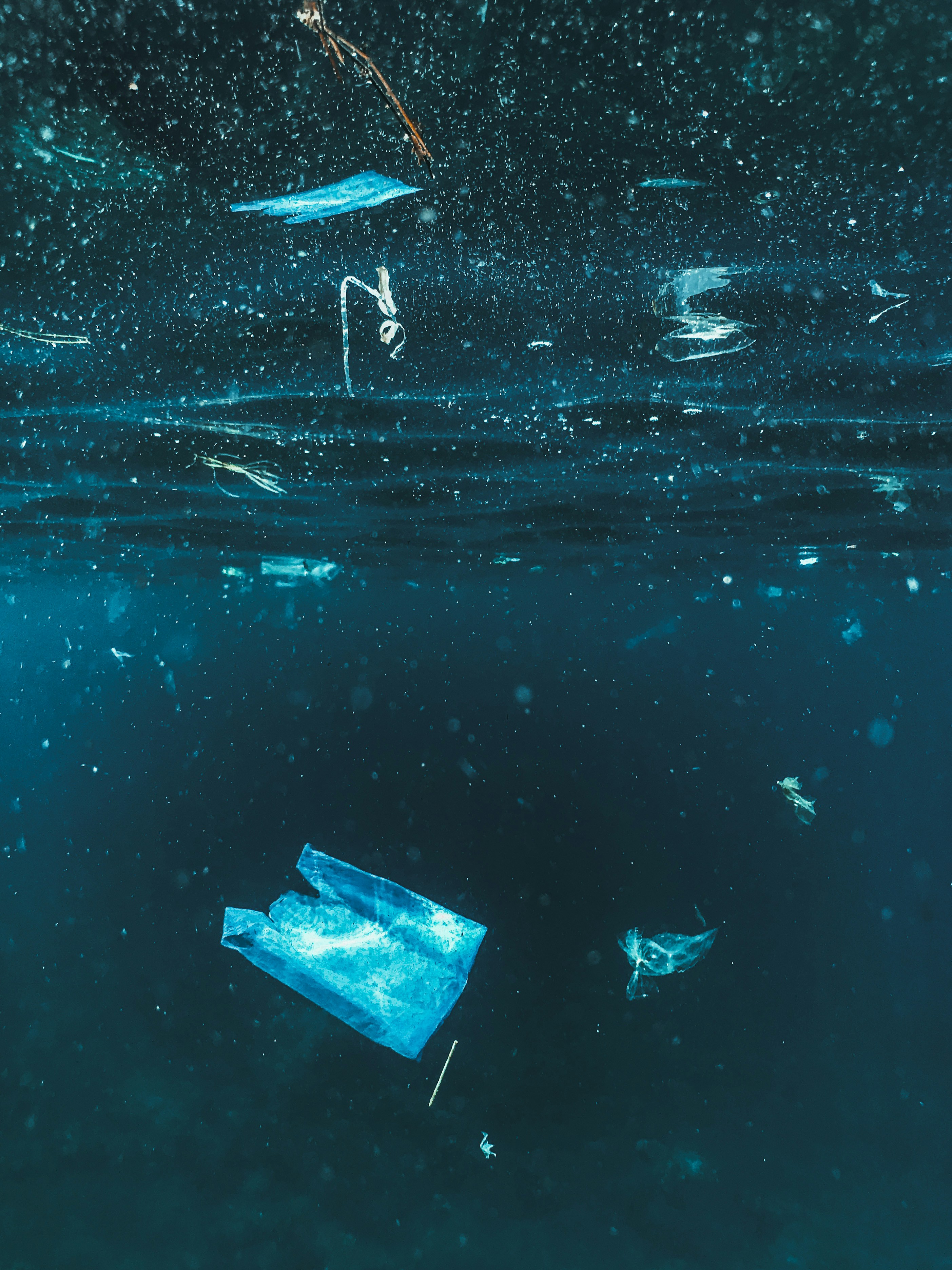 Ocean Waste Pictures | Download Free Images on Unsplash