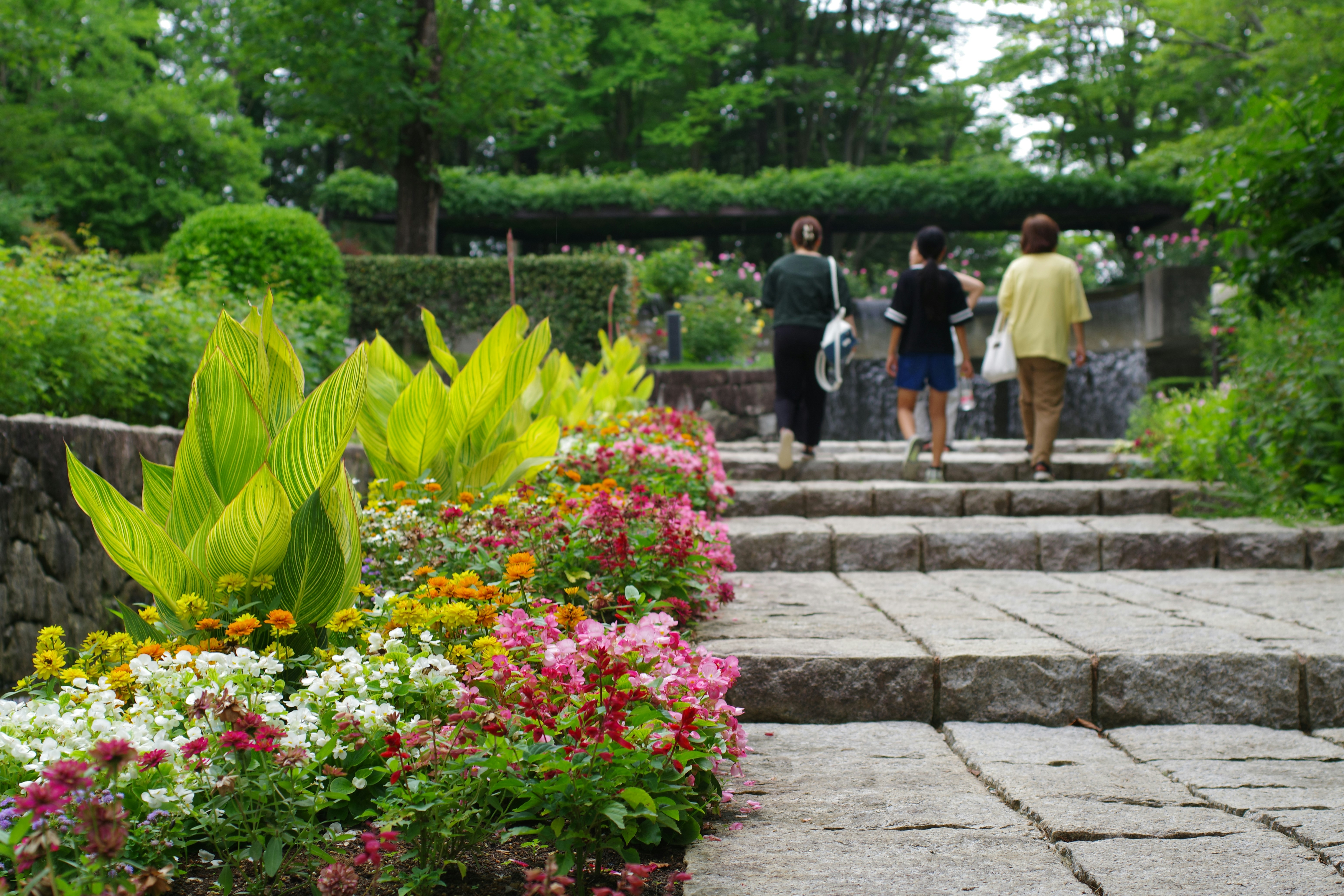 A group of people walking up some steps photo – Free 敷石 Image on Unsplash