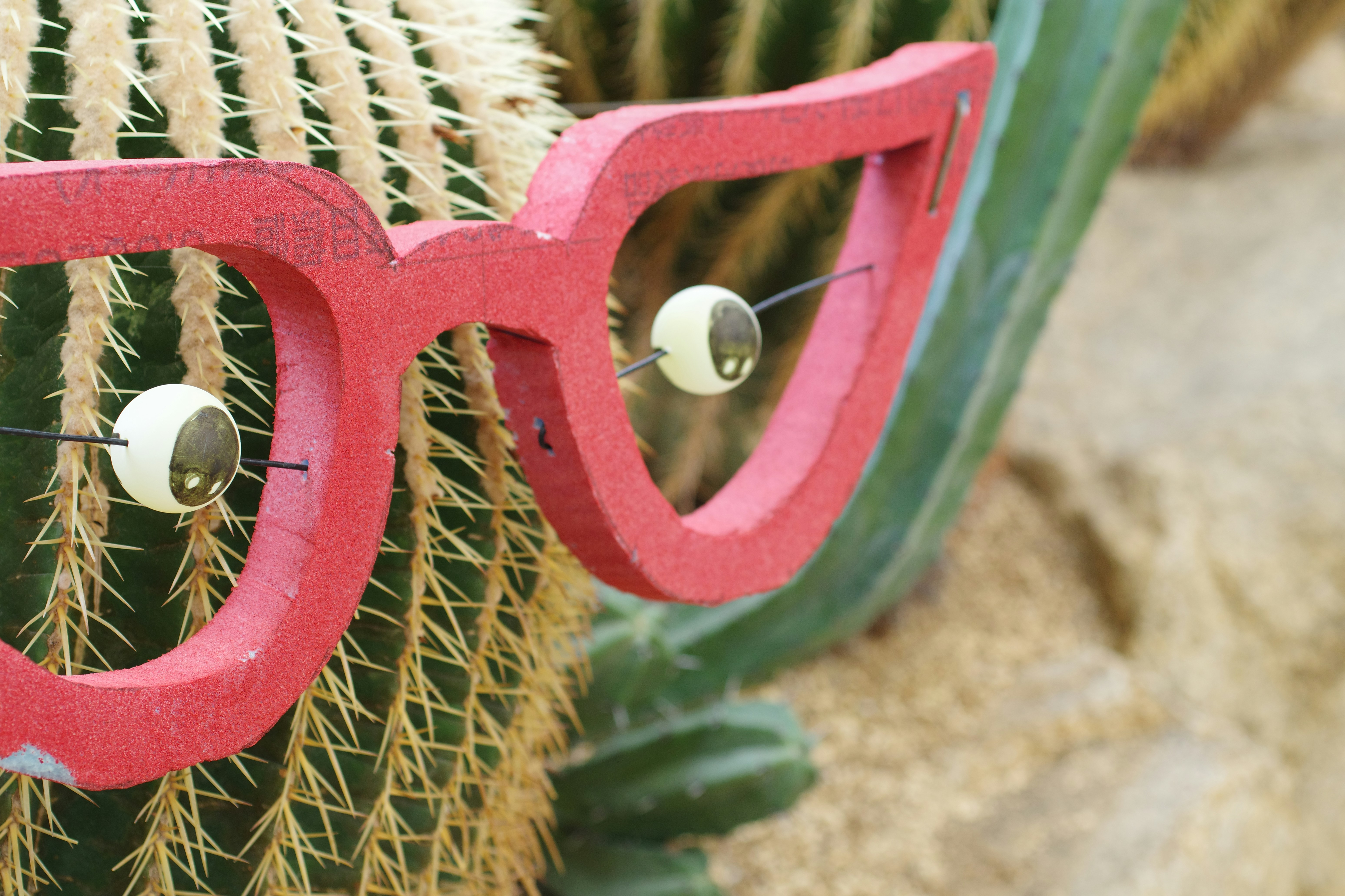 Prickly Sophistication: Pink Glasses on a Desert Cactus