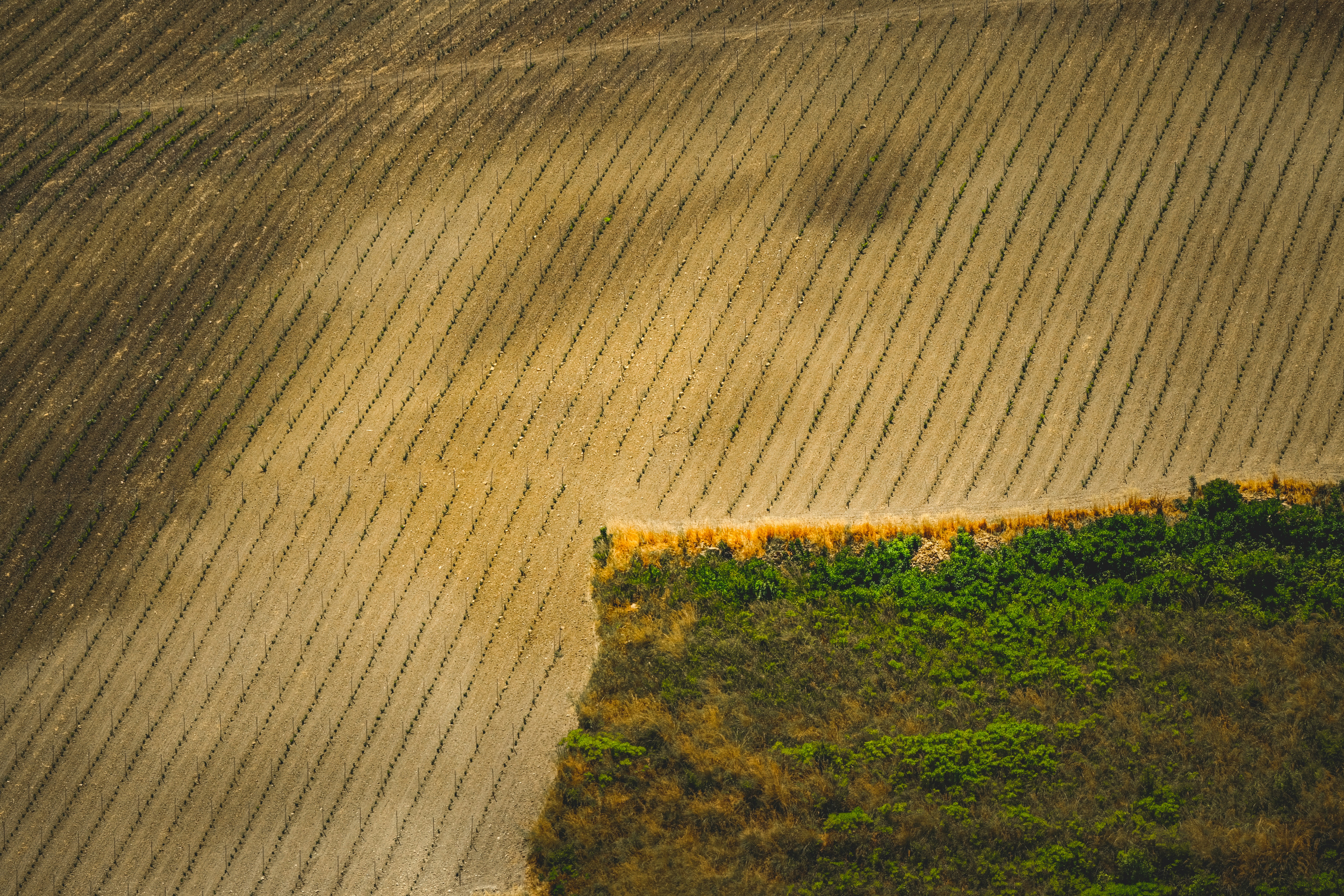 An aerial view of a plowed field photo – Free Pattern Image on Unsplash