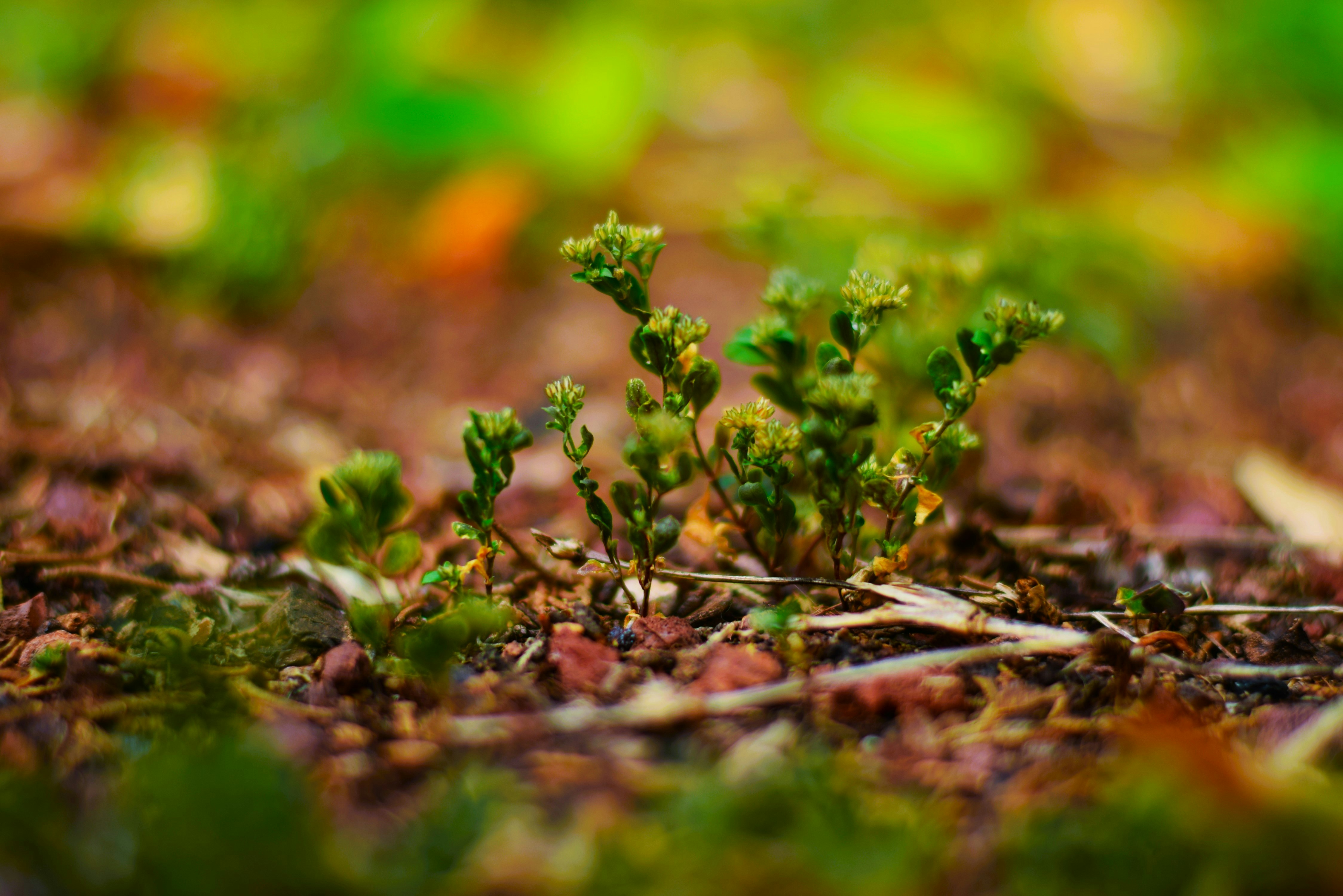 Eddy Shor (@eddyshor29) | Comunidade de fotos da Unsplash