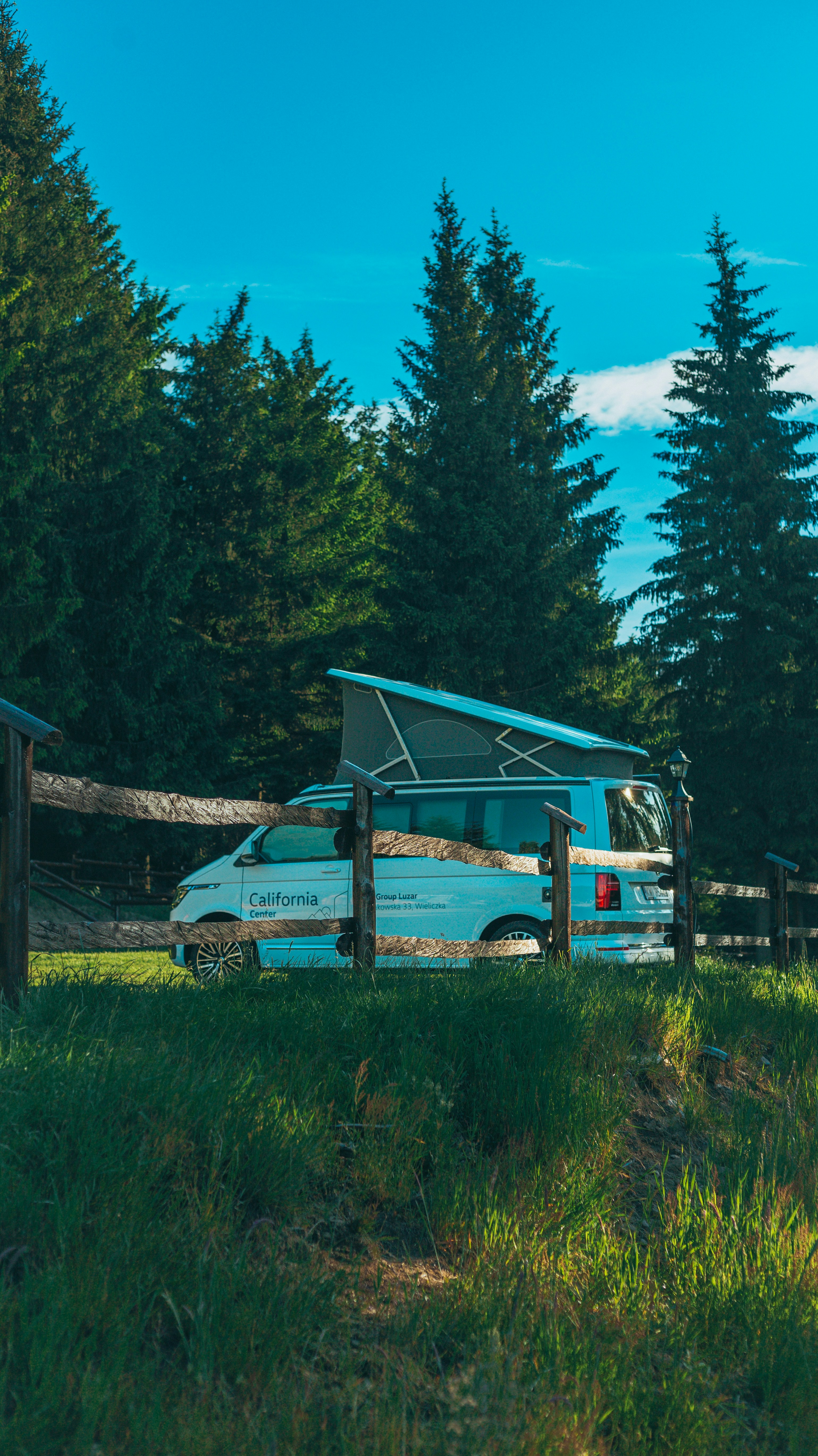 Pop-Top Camper Amid Towering Pines in a Sunlit Alpine Clearing