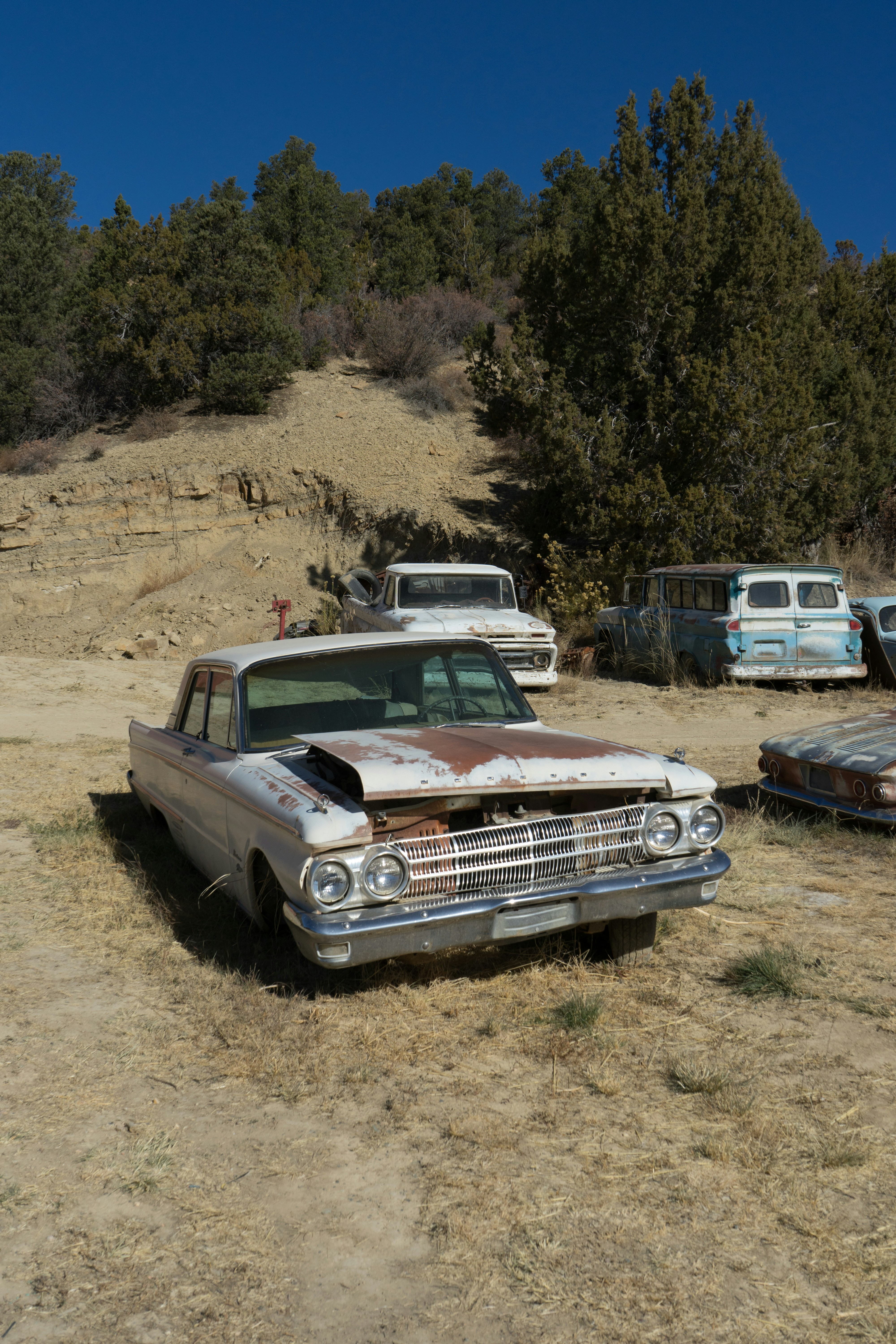 Dust and Chrome: Desert Junkyard of Timeworn Classics
