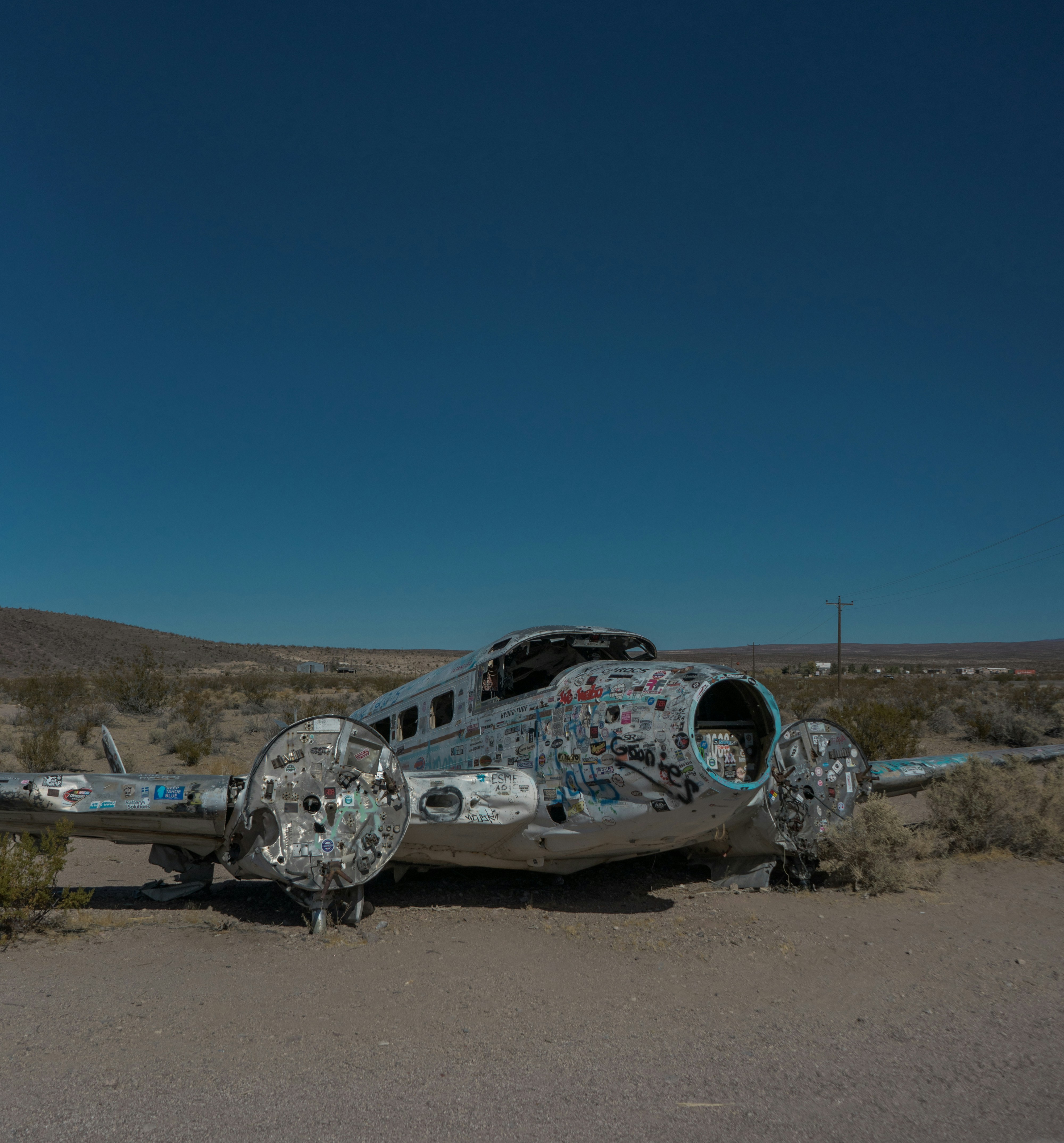 Desert Anachronism: A Scratched, Starry Warbler in Chrome