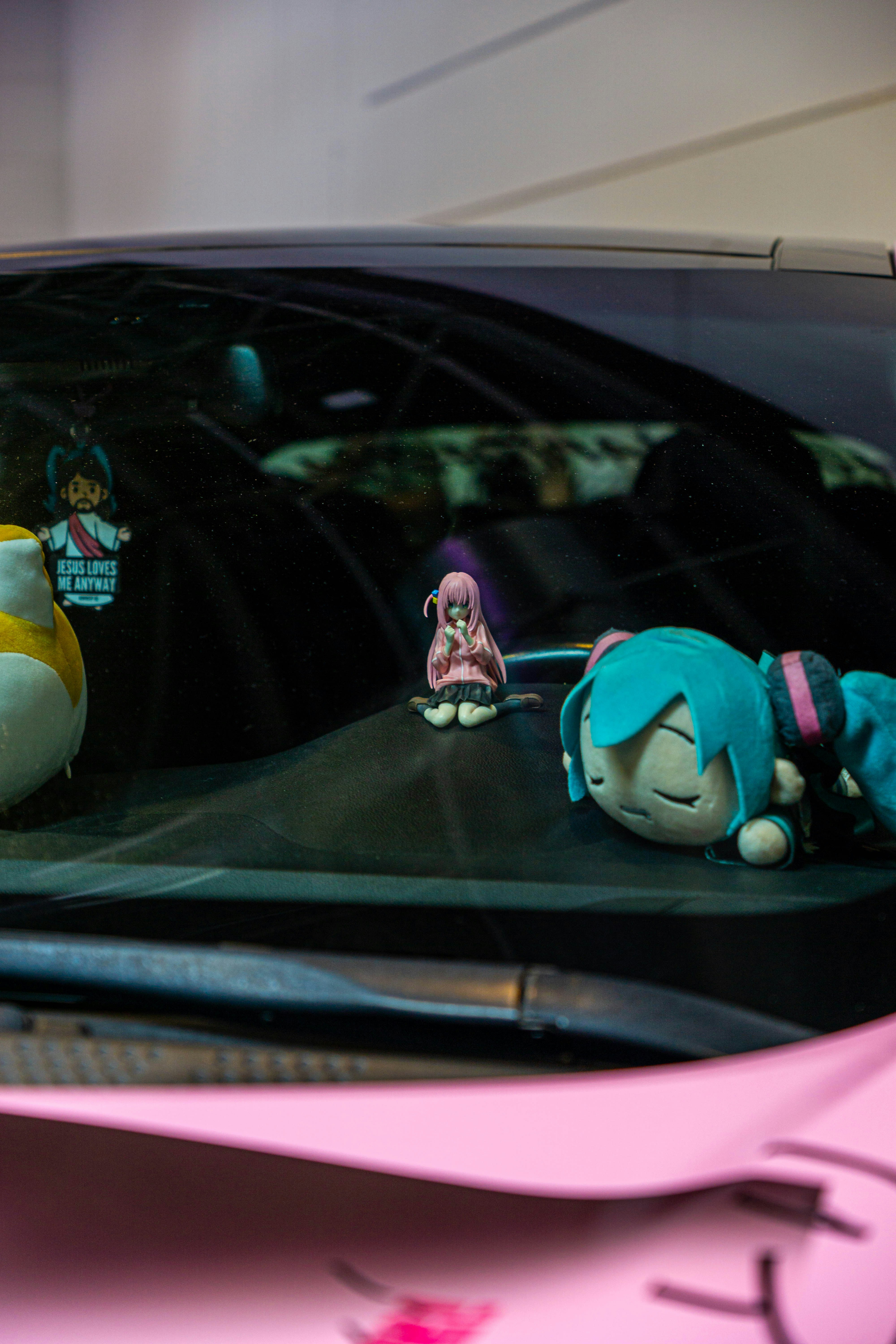 Mini Plush Parade on a Pink Car Hood