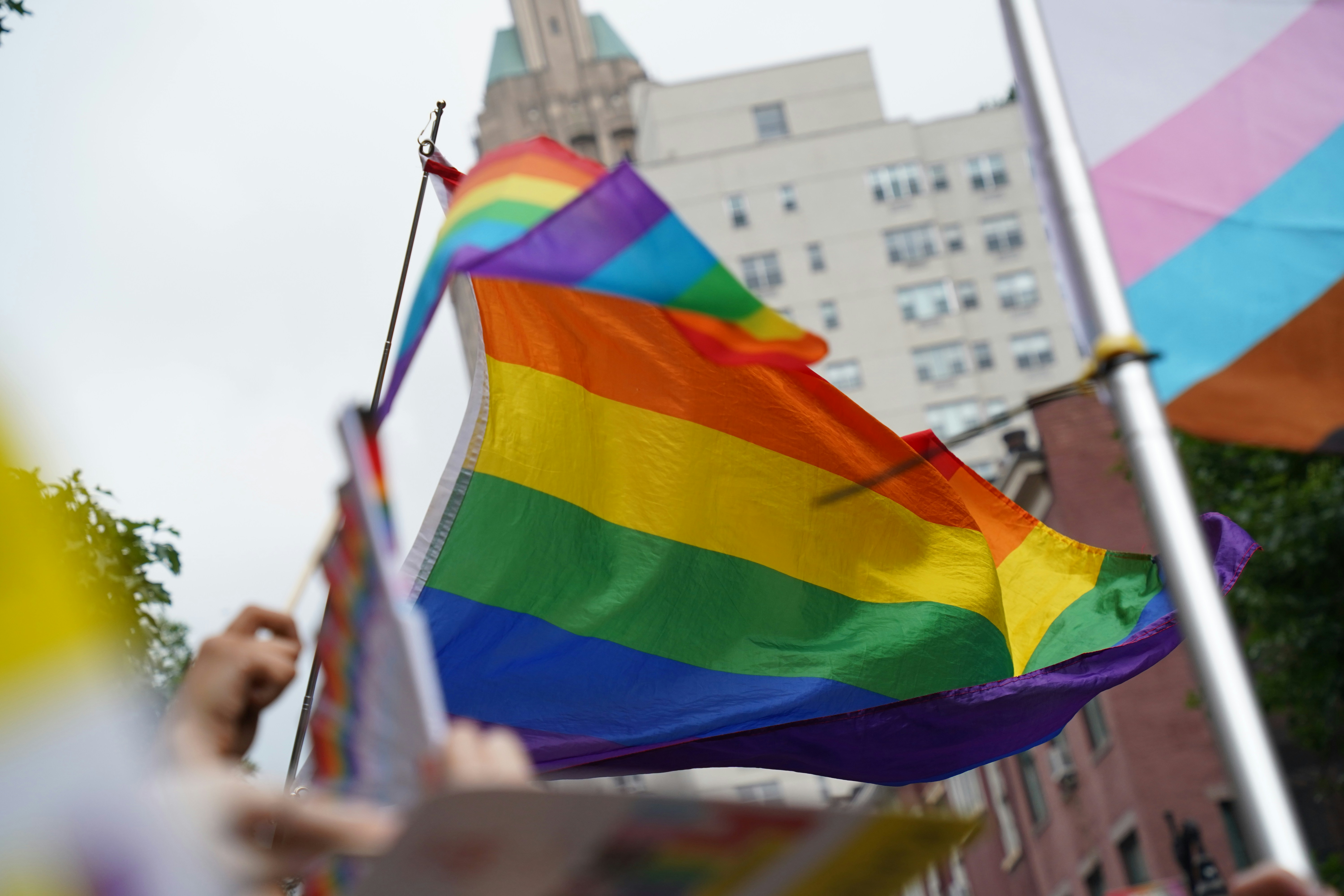 A group of people holding rainbow colored flags photo – Free New york ...