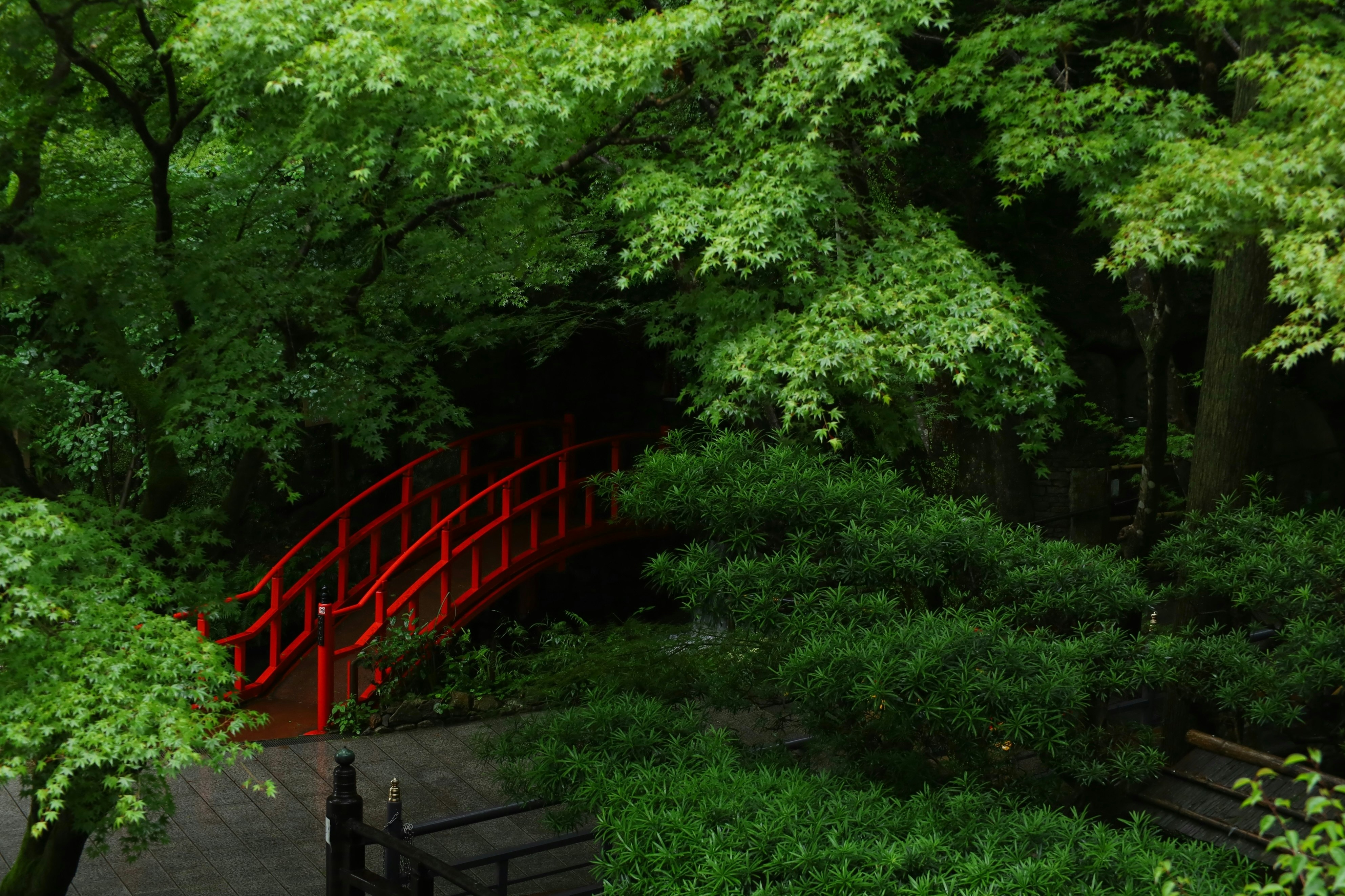 A red bridge over a lush green forest photo – Free Kidonanzoin-mae ...