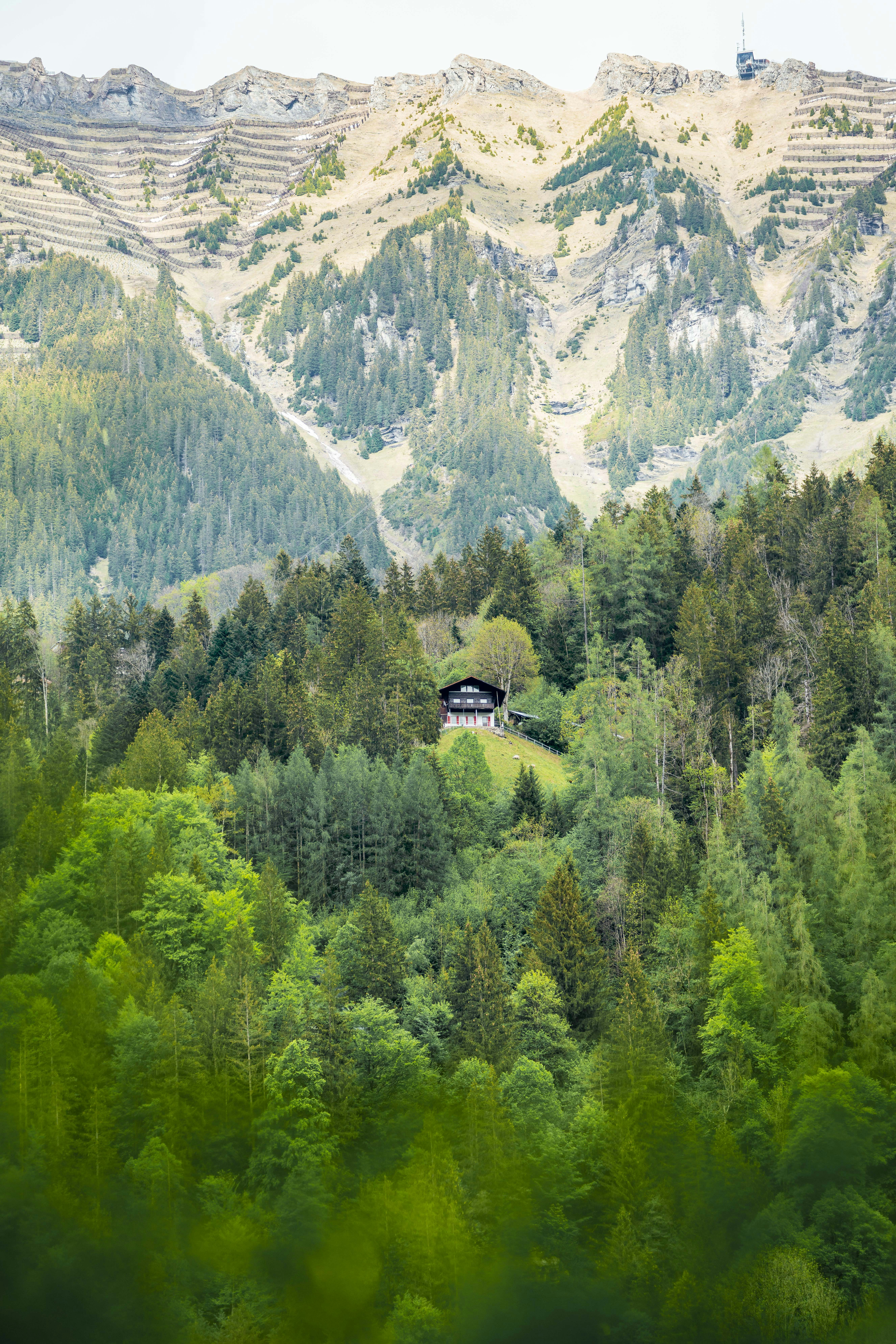 Photo by Kirill Prikhodko with Sony Alpha 7R III