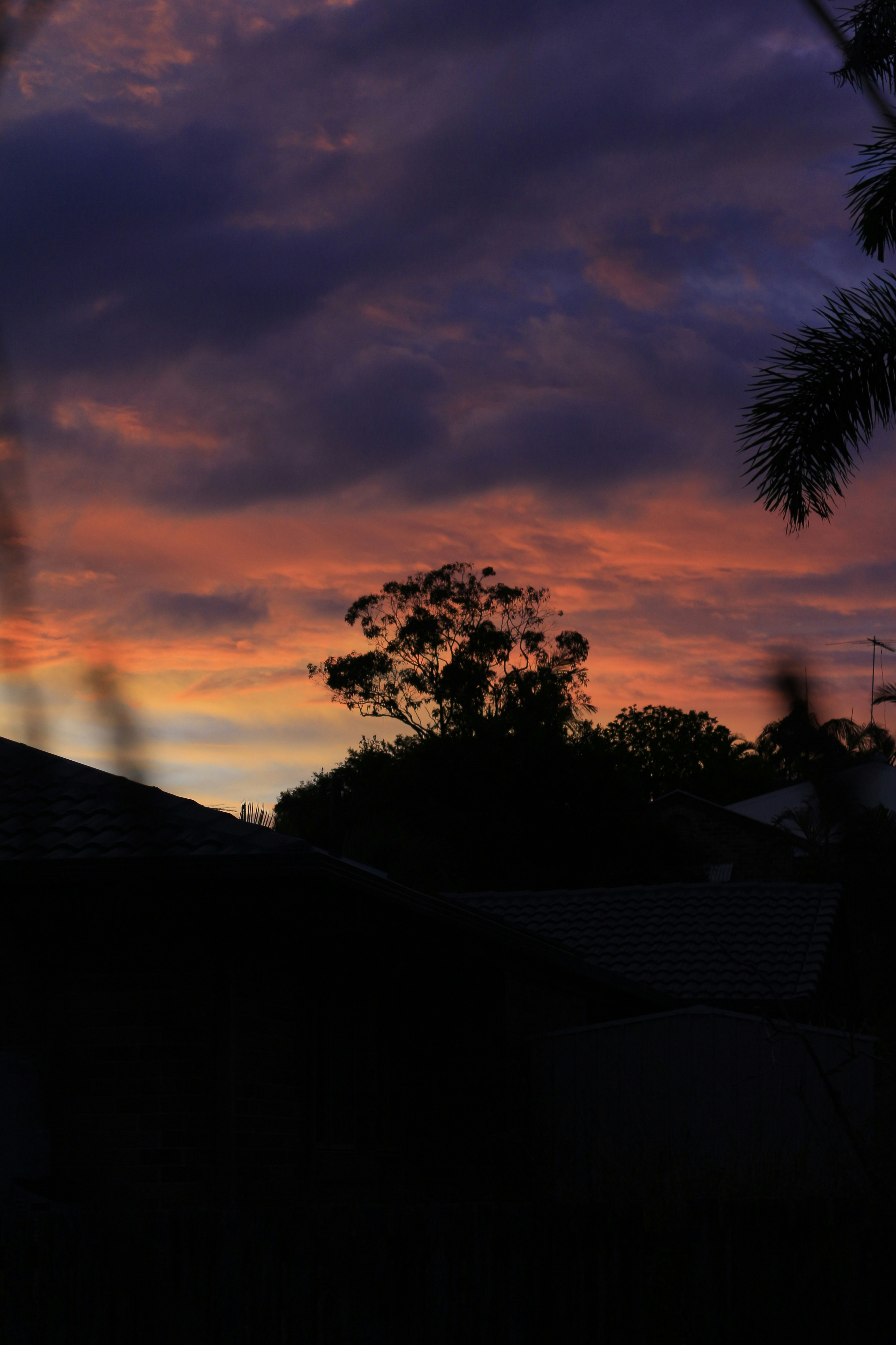 Photo by Cody M with Canon EOS 650D