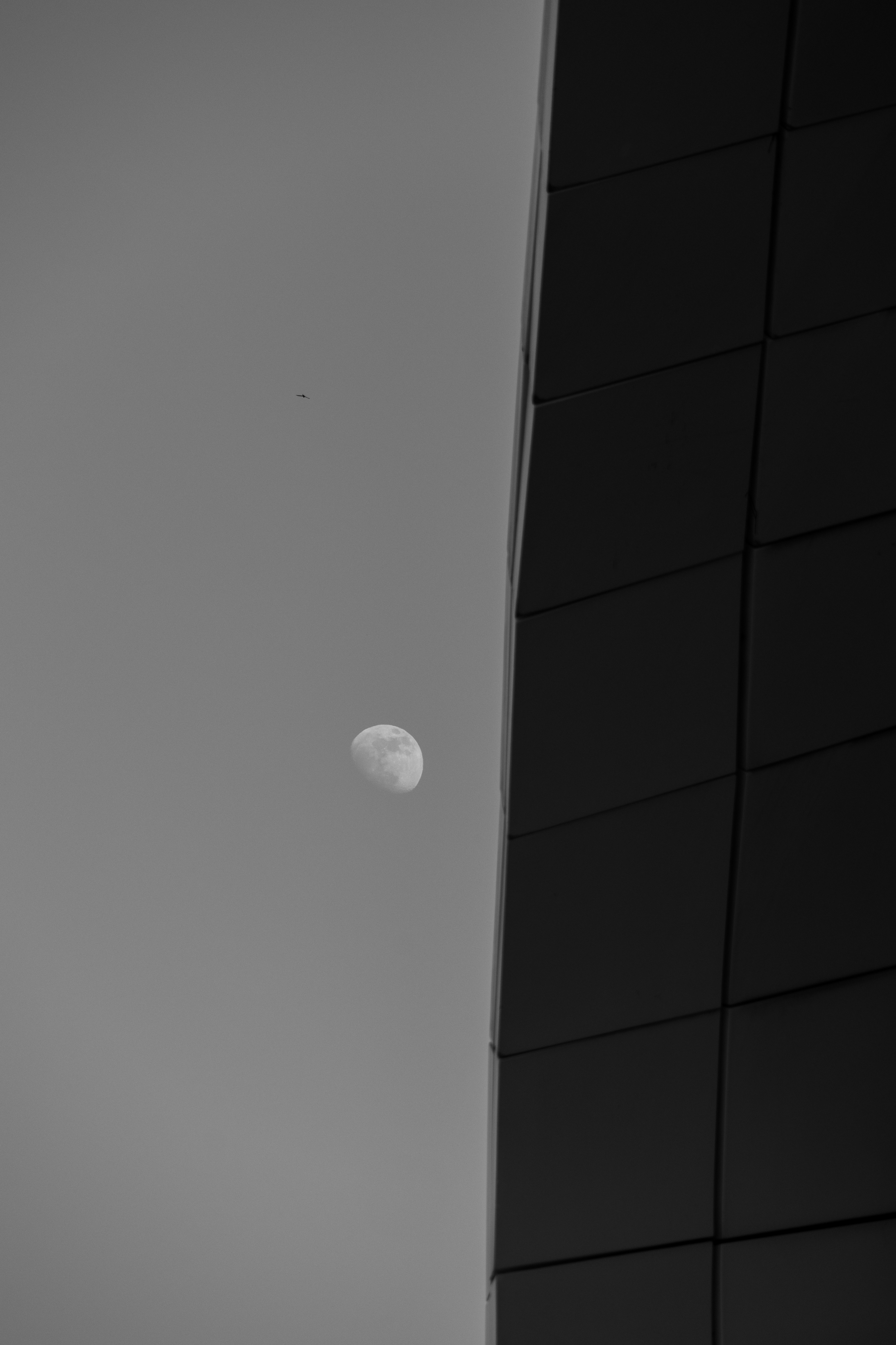 Celestial Reflection: The Moon's Silent Watch