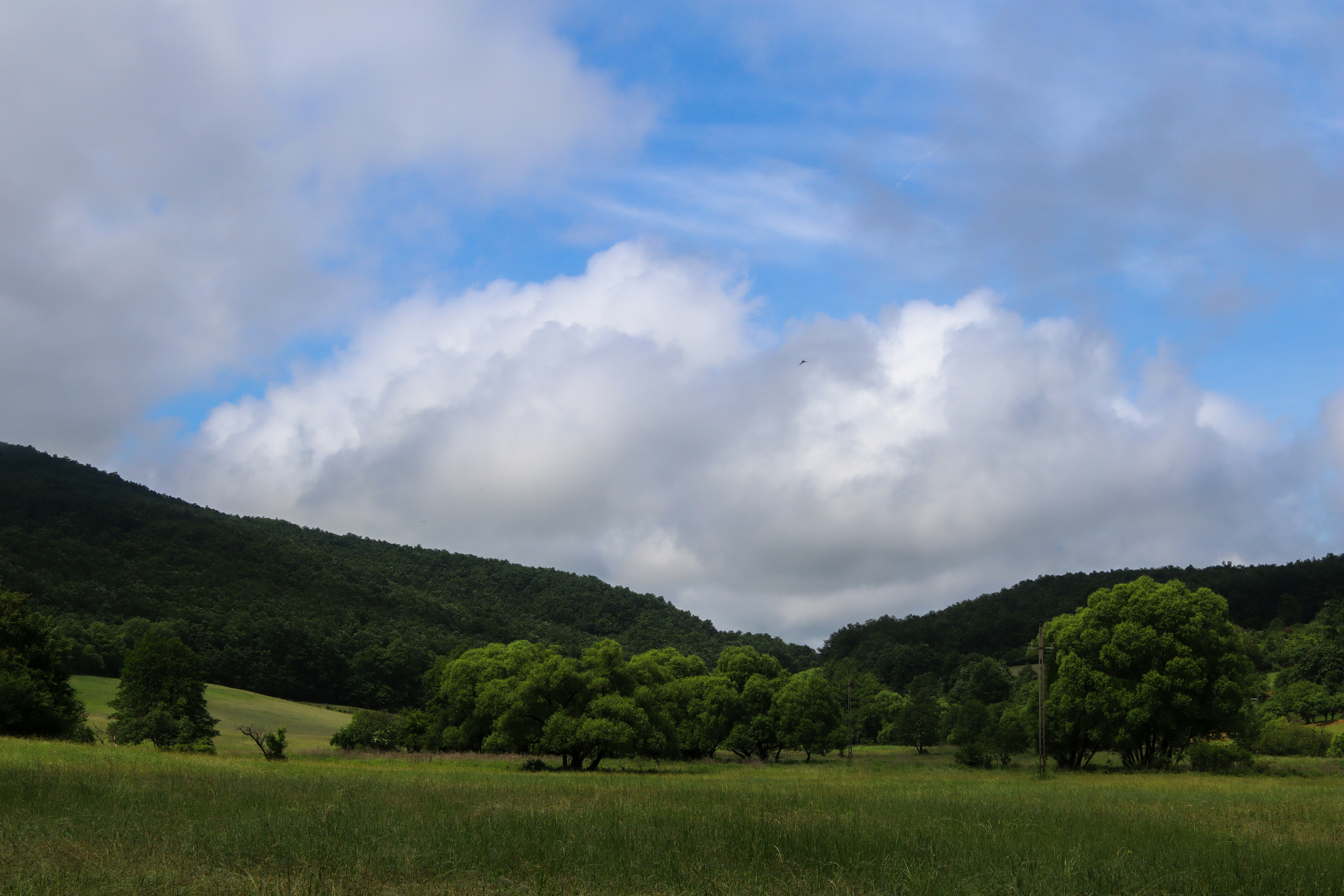 Photo by Andras Notorious with Canon EOS M50