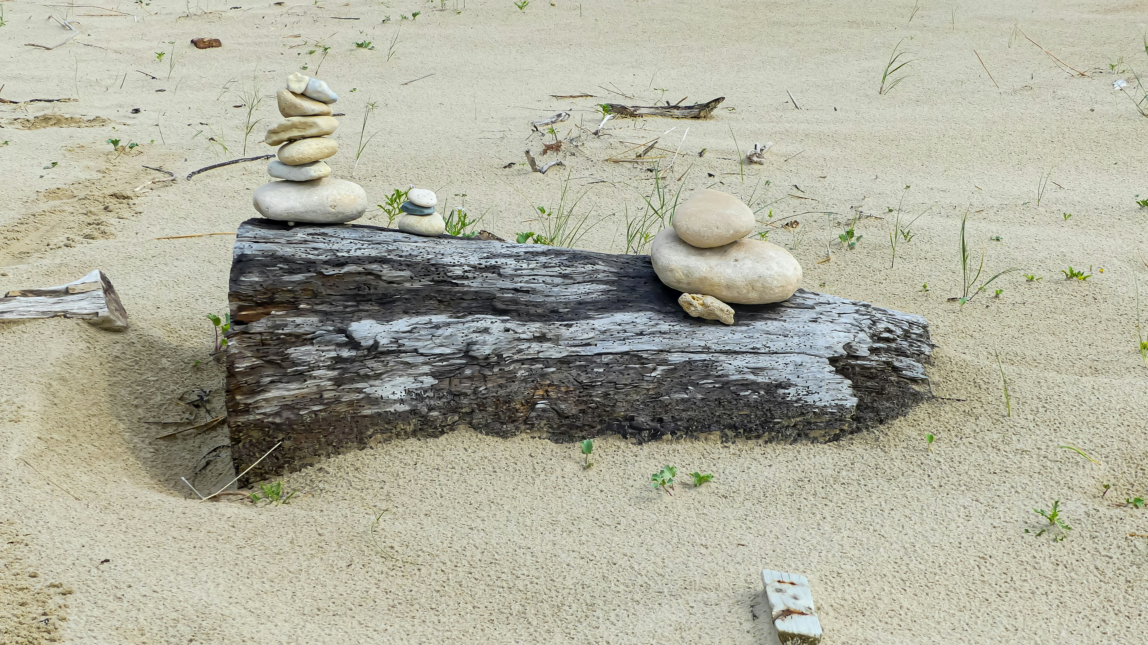 Cairns on Weathered Driftwood at a Quiet Beach