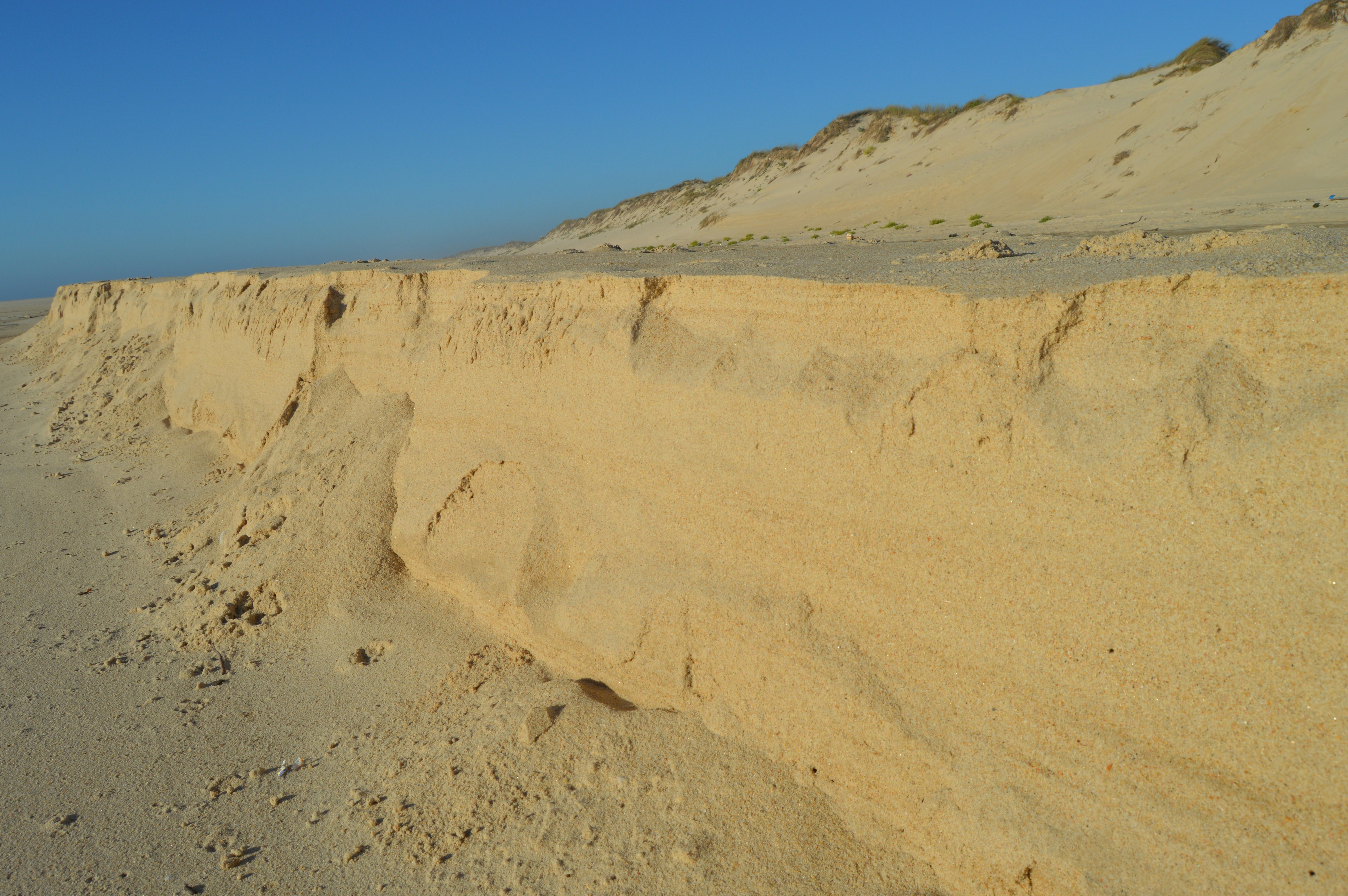 Beach And Sand Pictures | Download Free Images on Unsplash