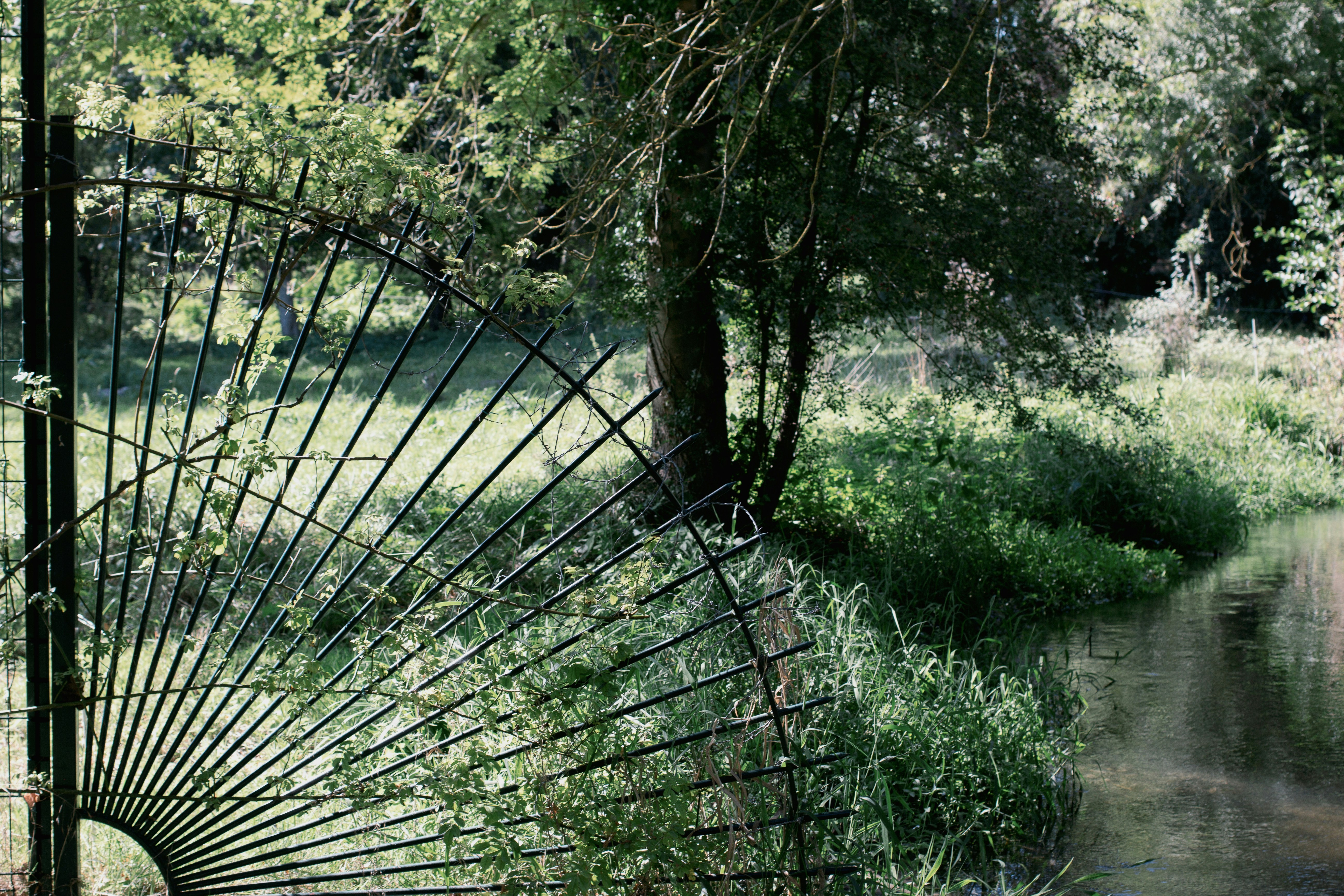 Radial Gate Framing a Quiet Riverbank