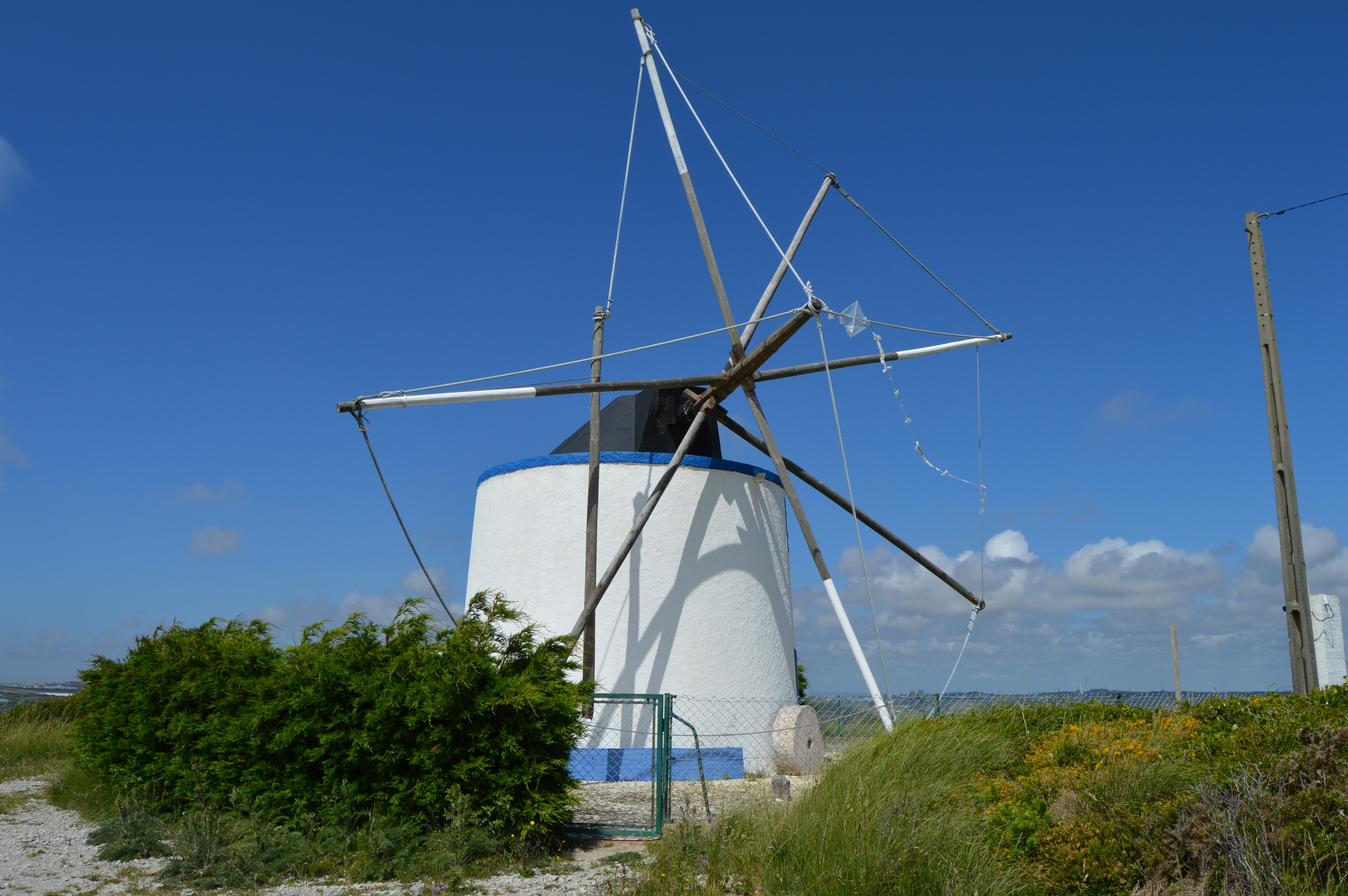 A white and blue windmill sitting on top of a lush green field photo ...