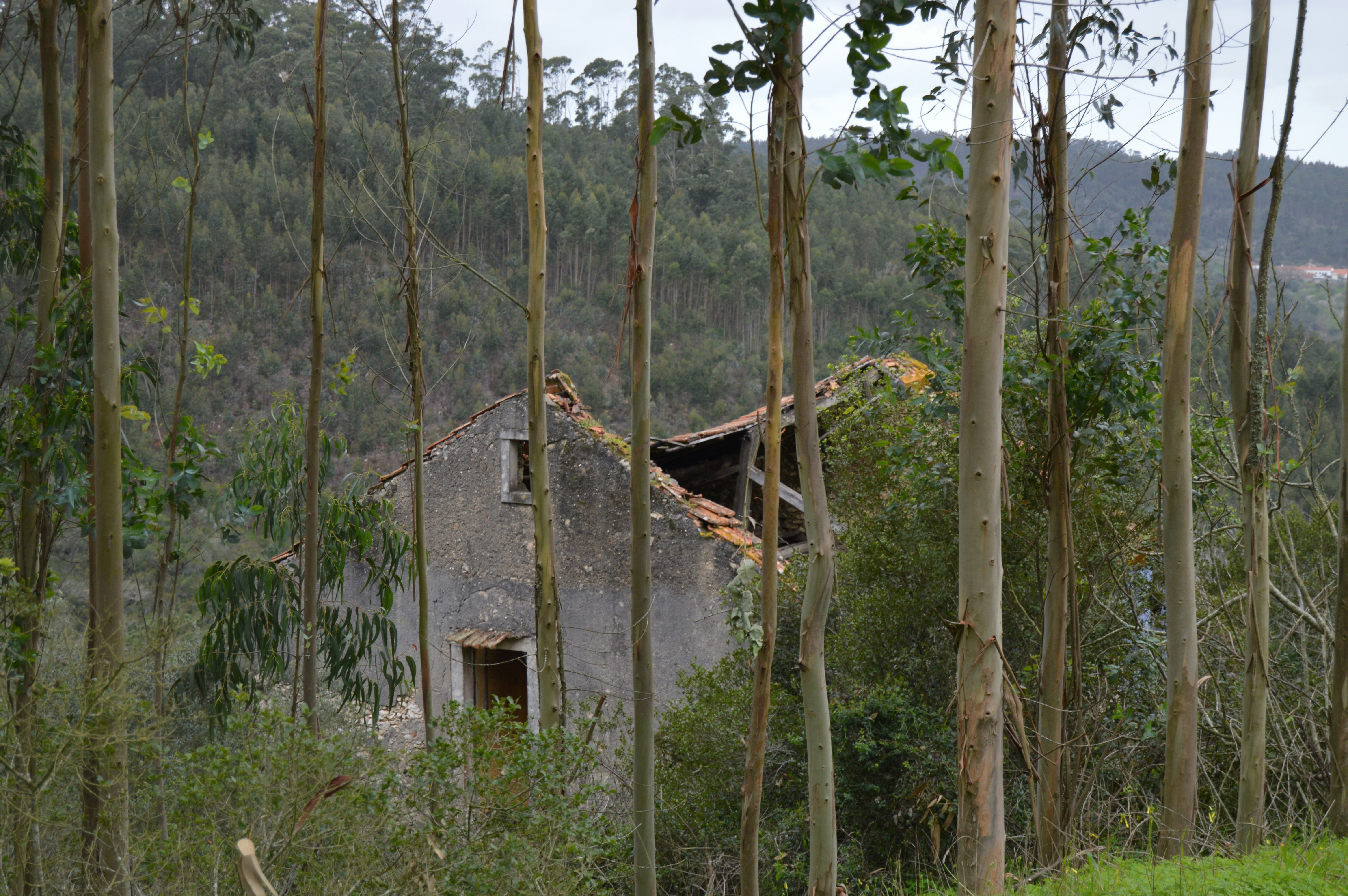 Photo by Richard Multimedia with Nikon D3200