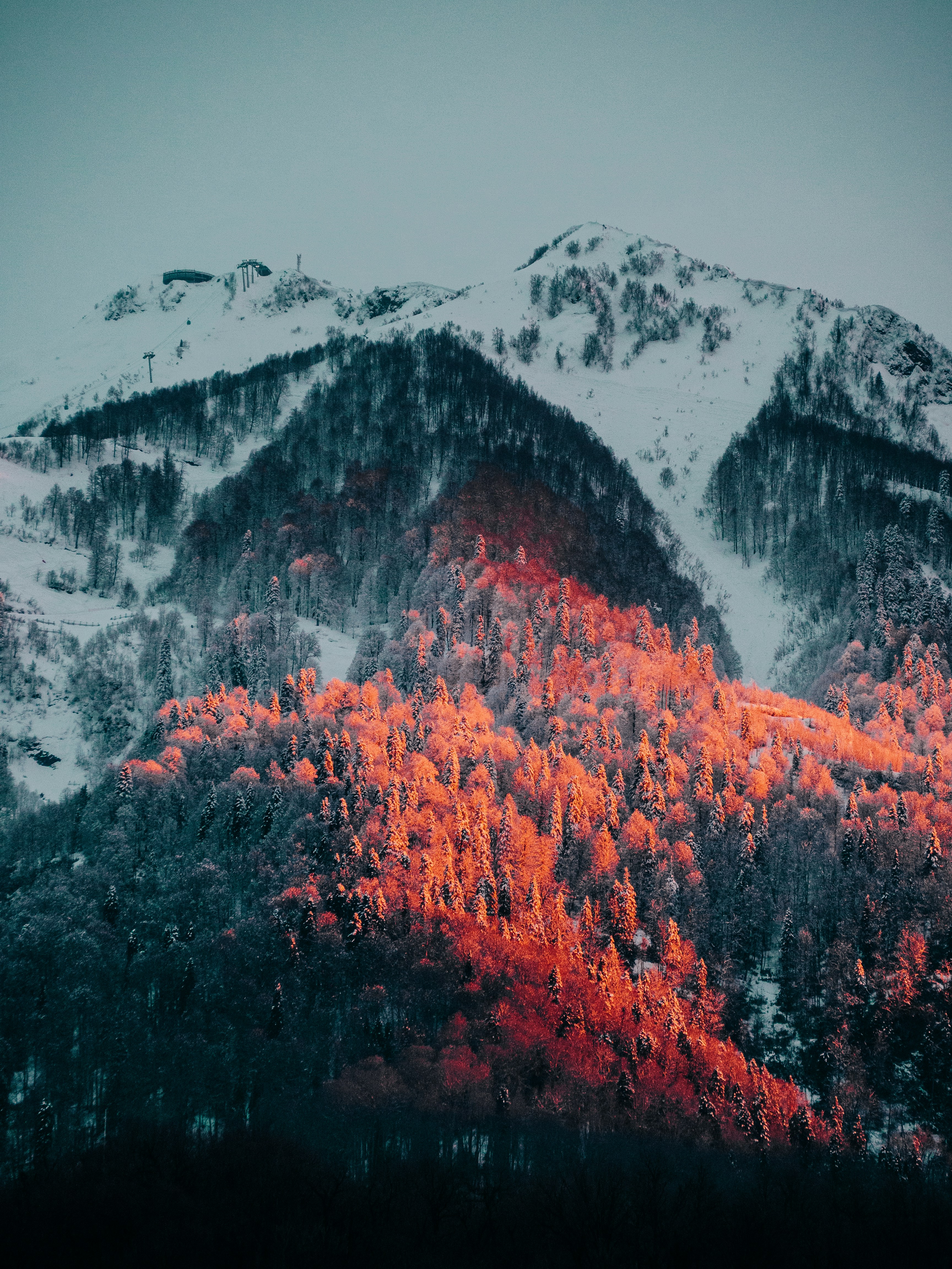Fire on the Hills: Autumn Leaves Crown a Snow-Dusted Summit