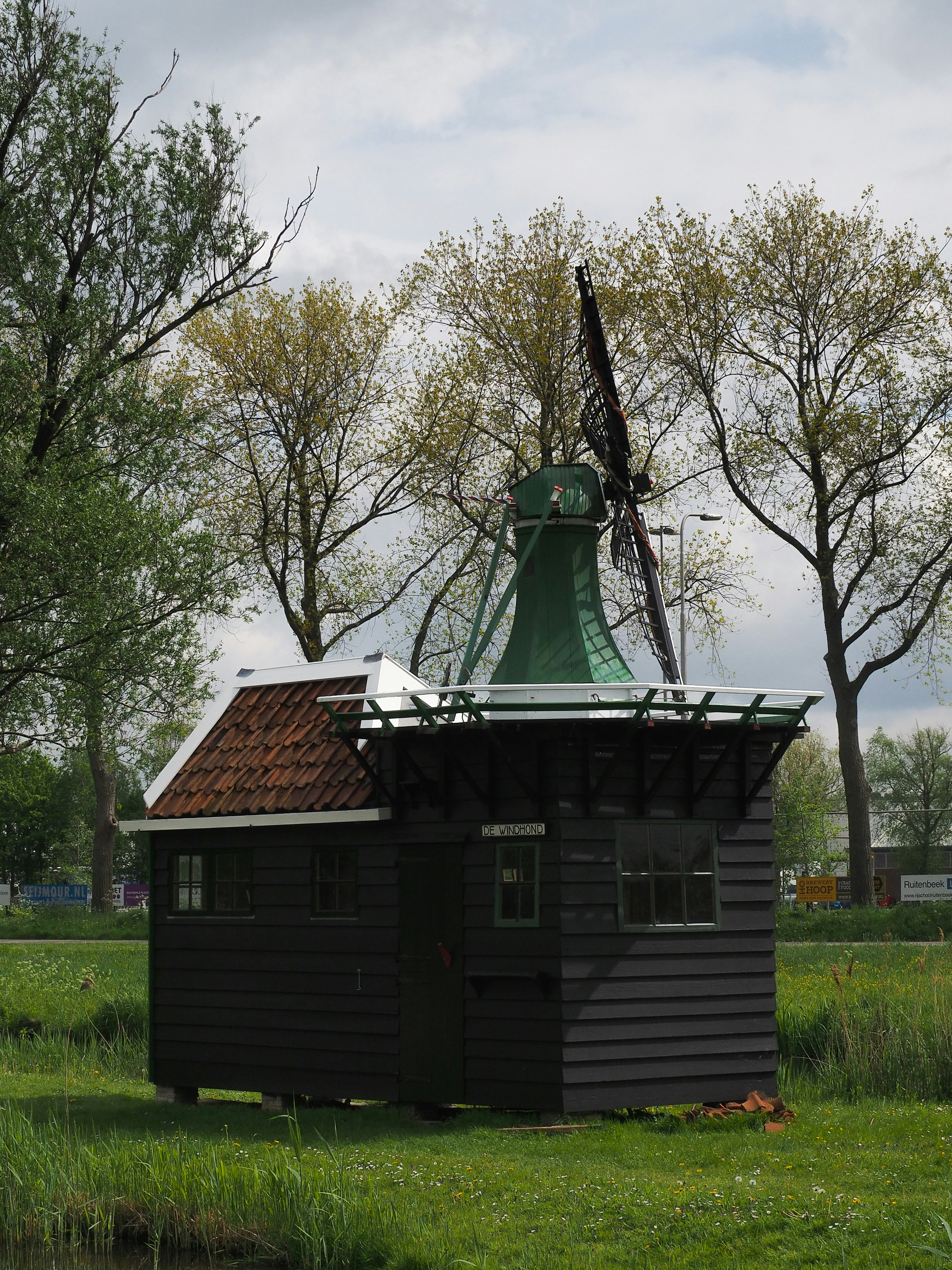Lime-Green Mechanical Crown Over a Dark Shed in a Spring Park