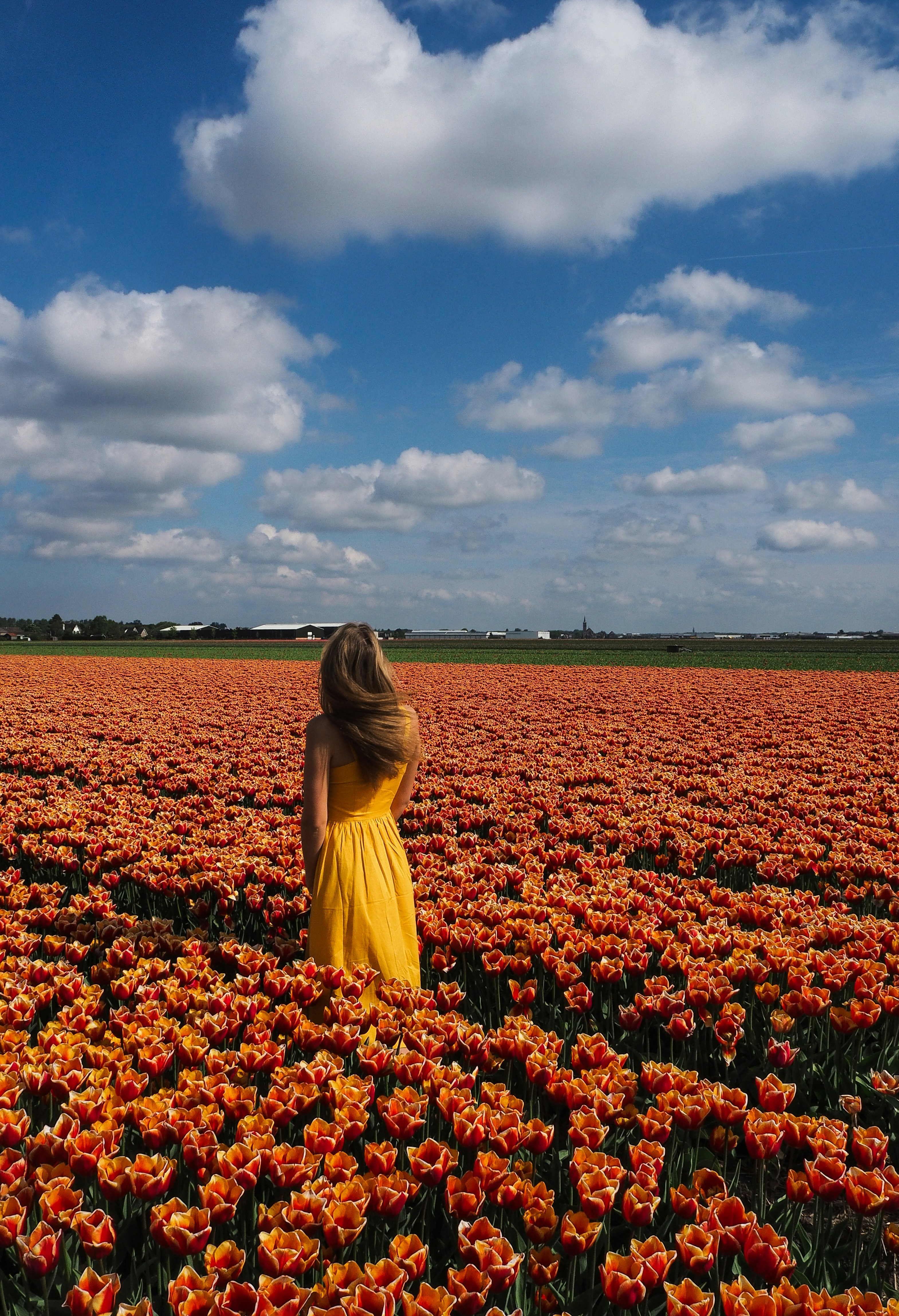 A woman in a yellow dress standing in a field of orange flowers