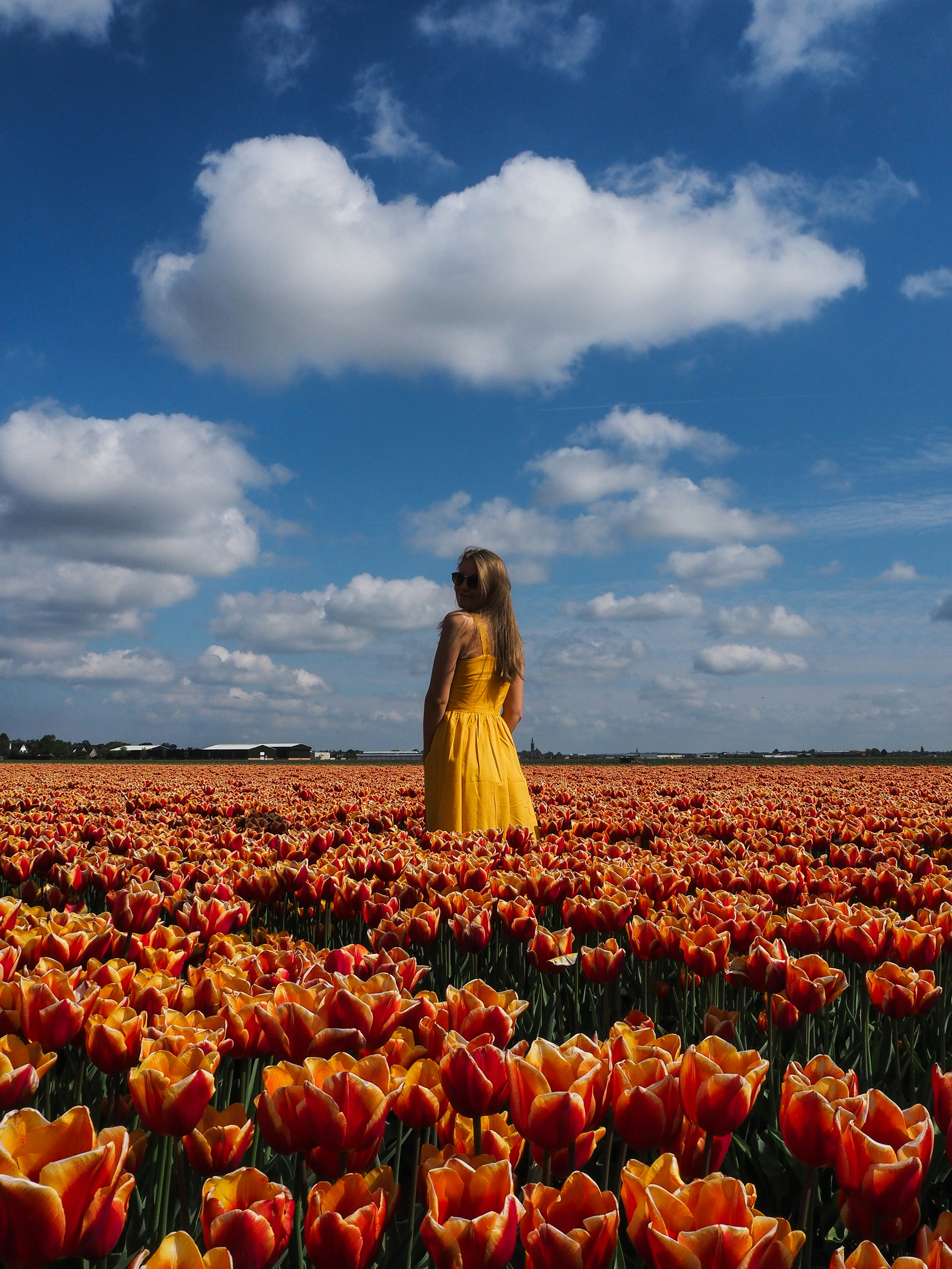 Golden Dress at the Edge of a Tulip Sea under a Cobalt Sky
