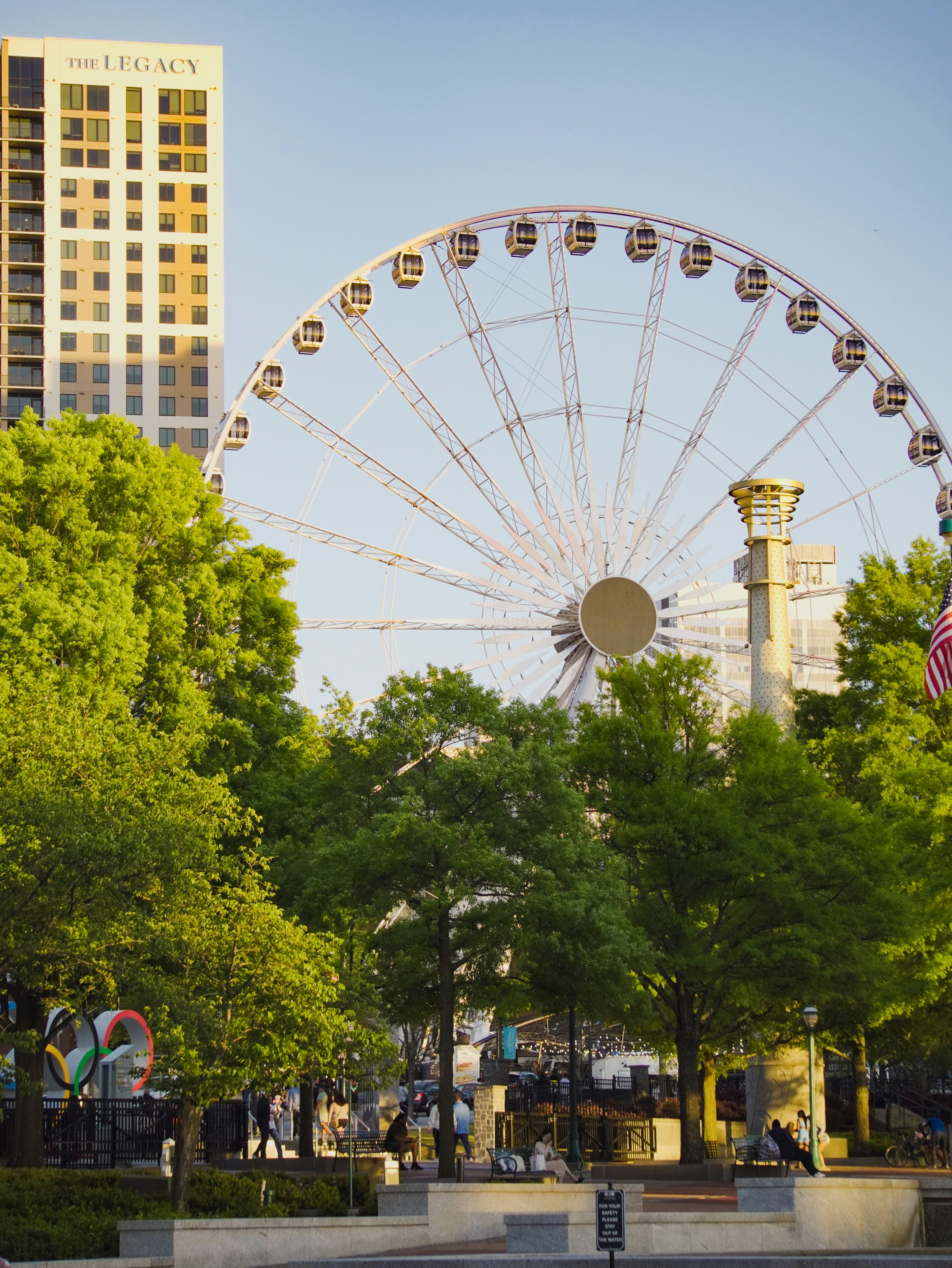 Ferris Wheel Rising Through a City Park Canopy
