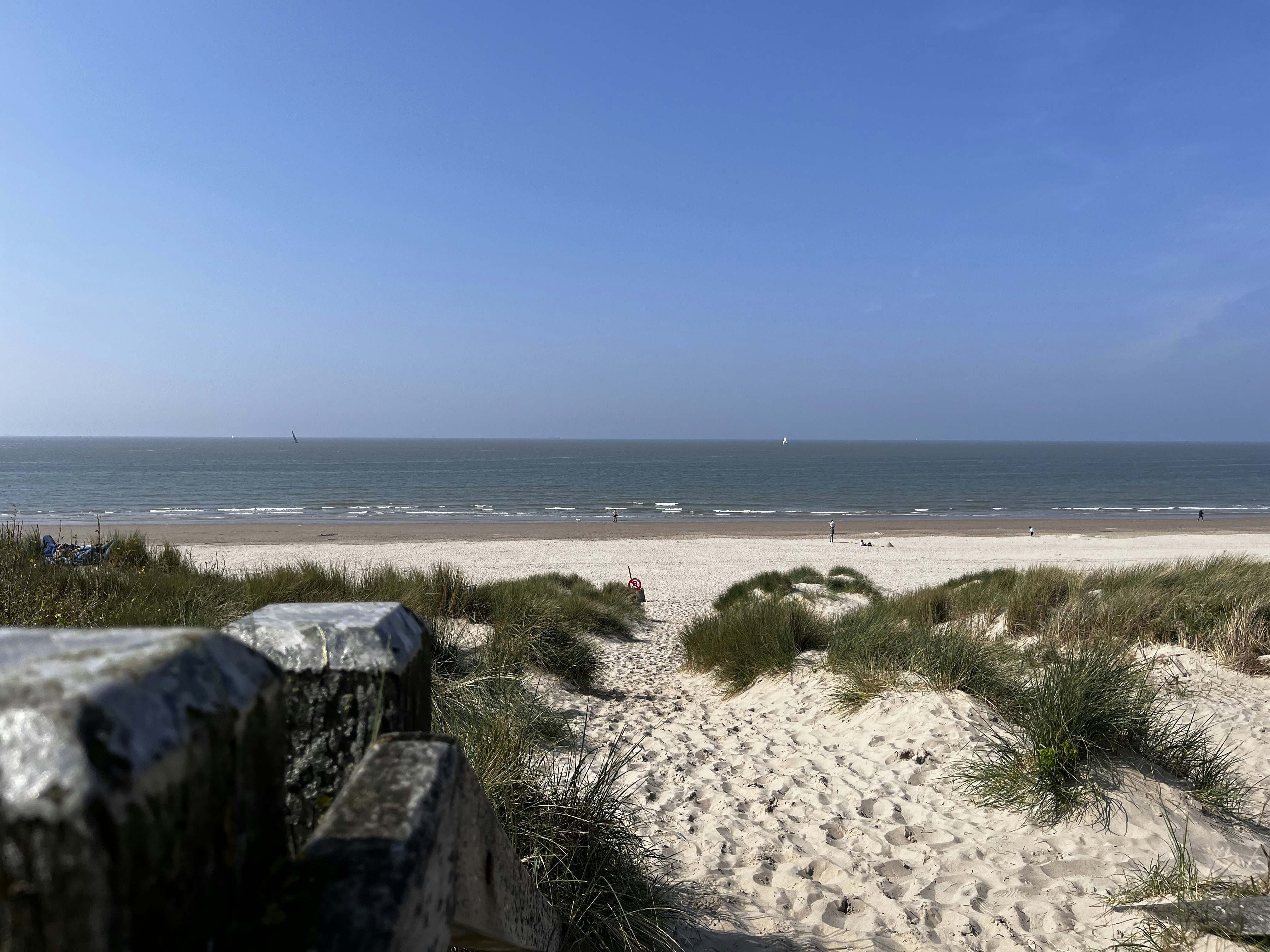 Sandy beach path leading to a calm ocean under a clear blue sky.