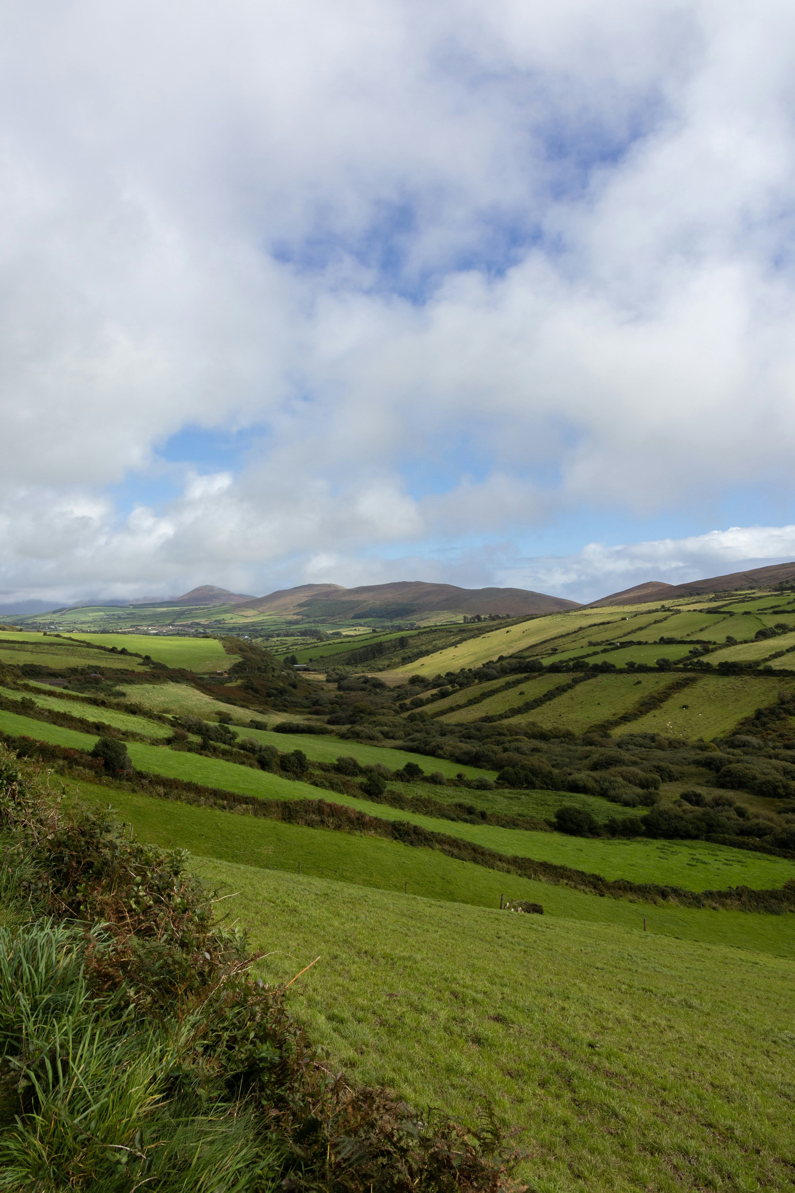 Patchwork Hills under a Cloud-Swept Sky