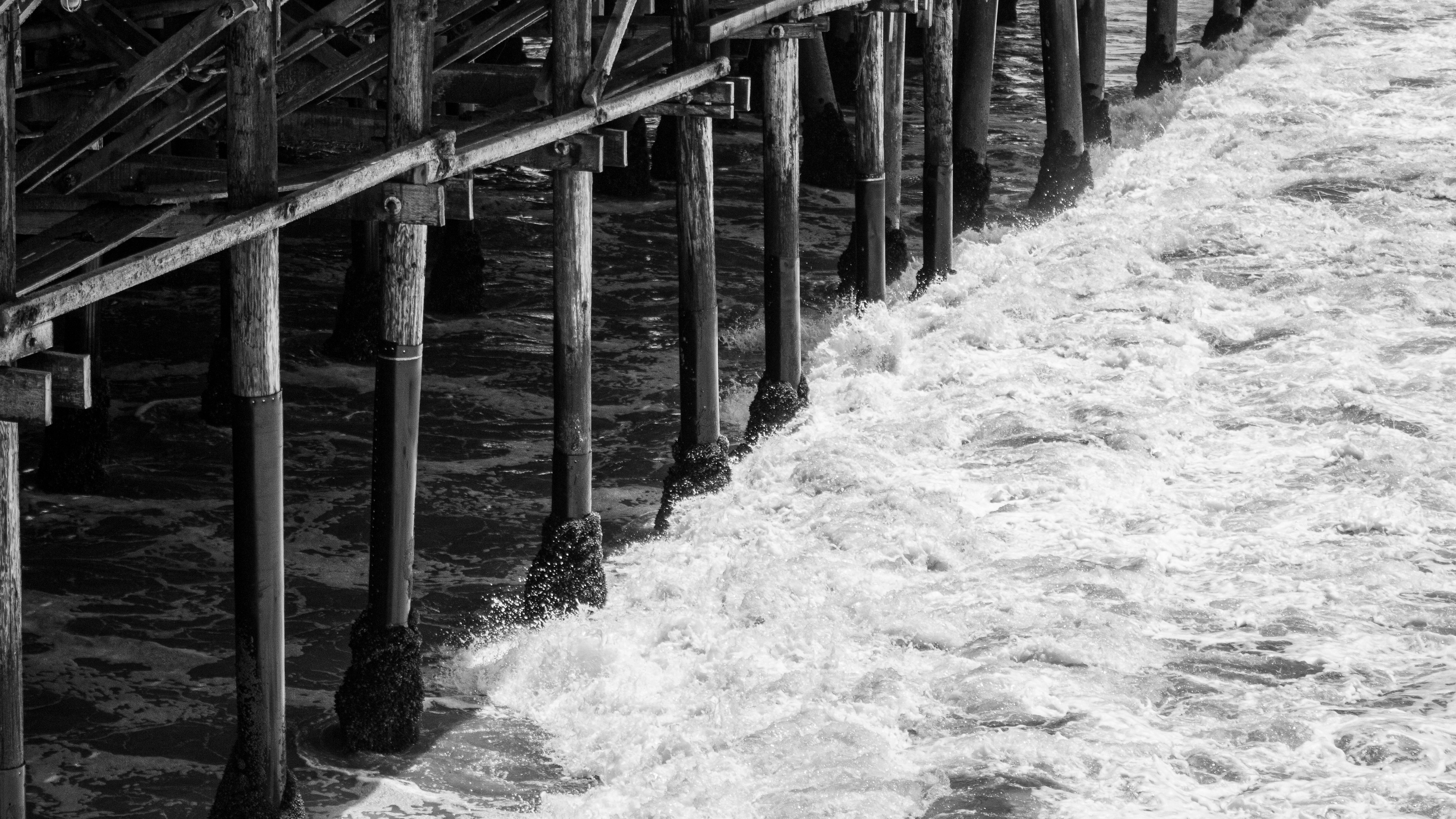 Photo by Daniel Damasio with Canon EOS 4000D