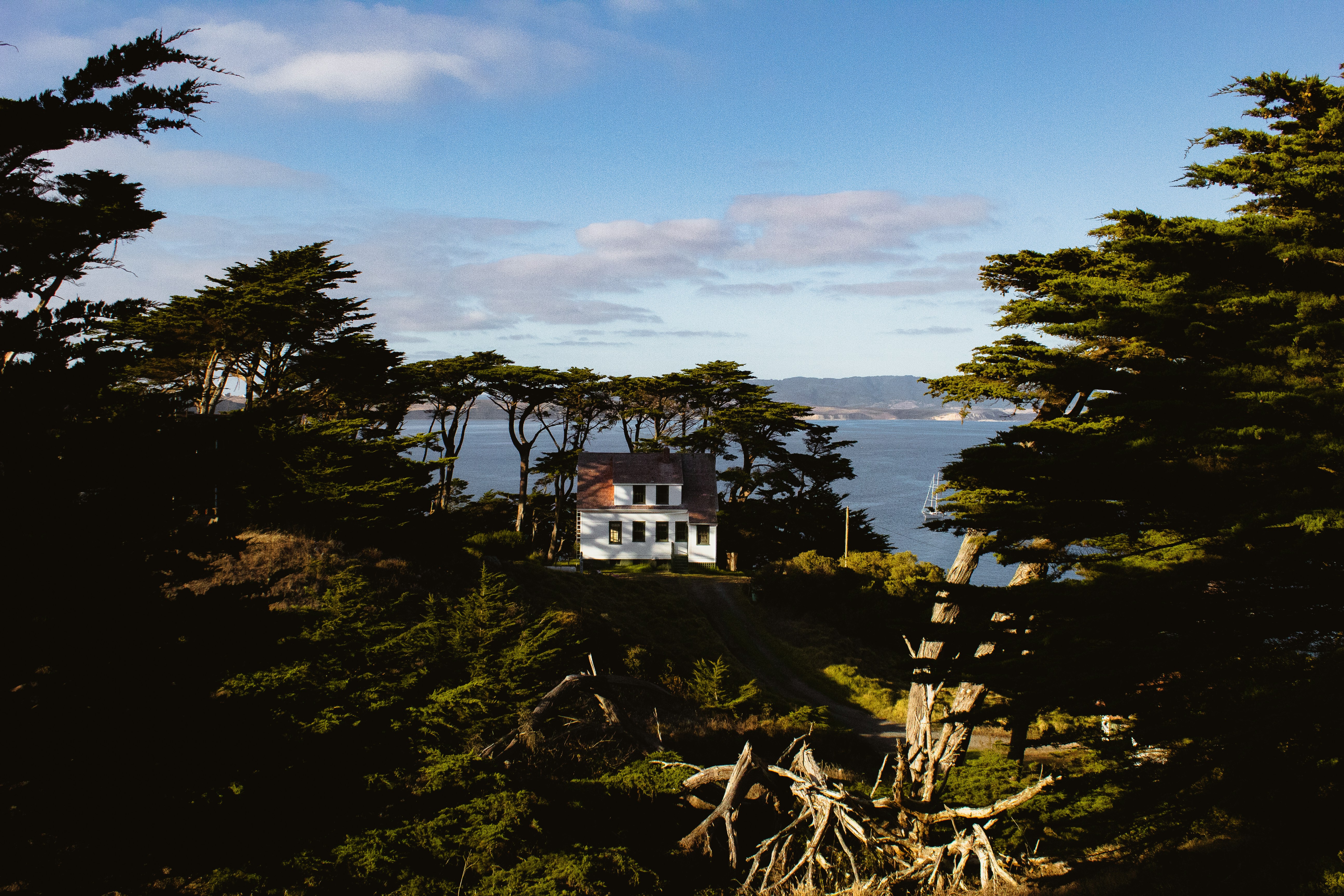 Coastal House Amid Coastal Pines