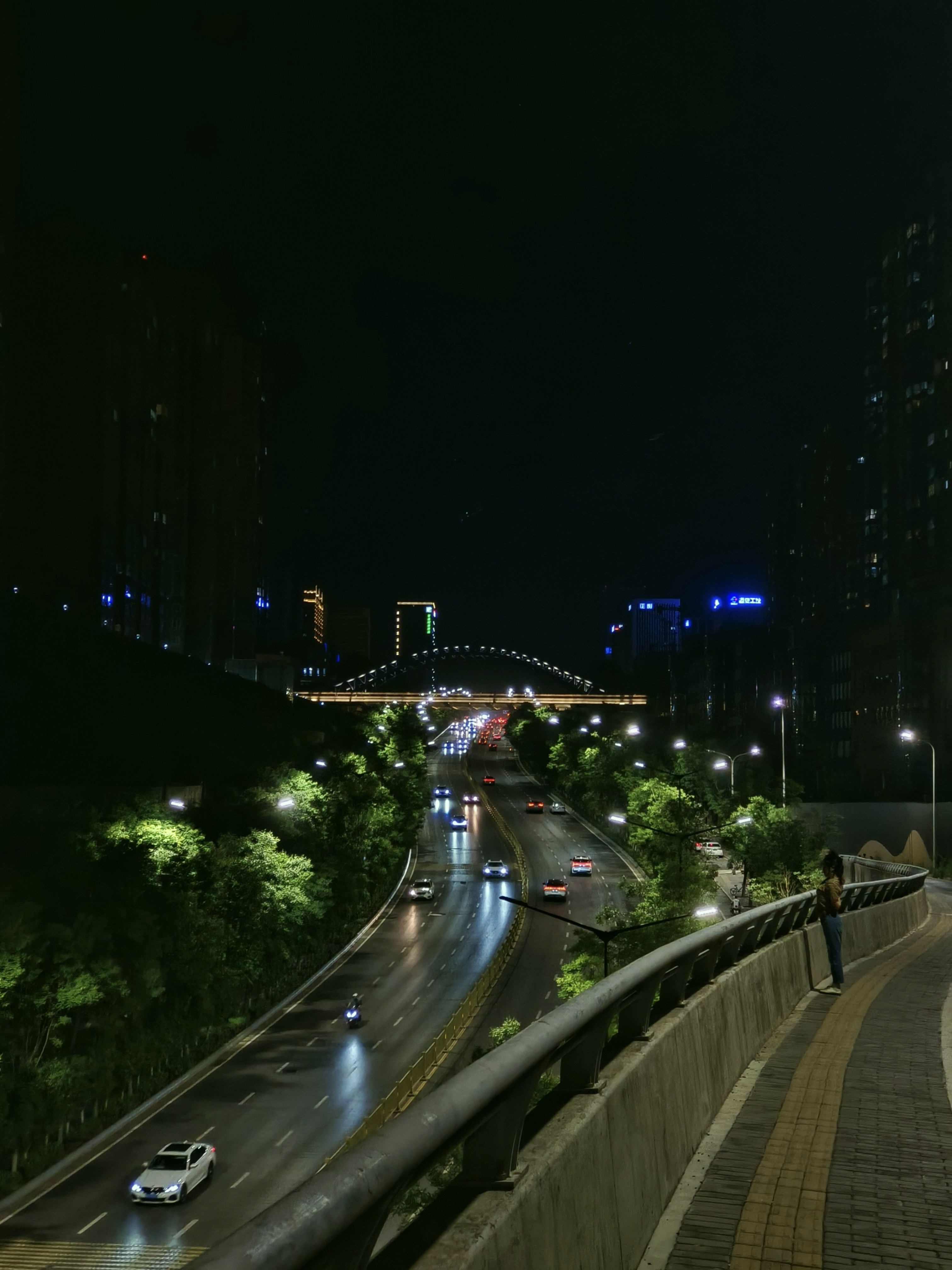 Midnight Arc: The Curved Bridge Illuminates a City Night Road