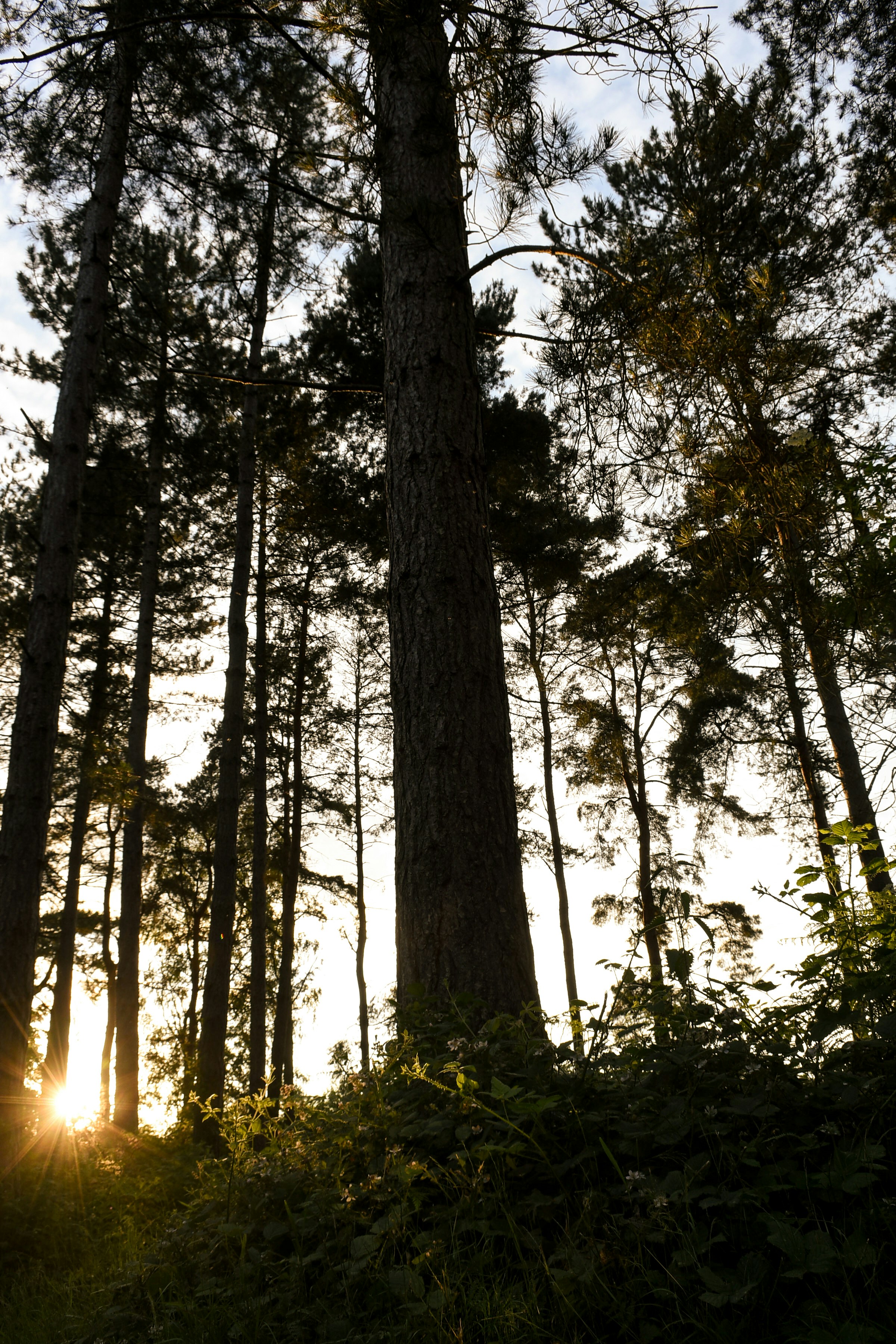 Photo by Julia Fiander with Nikon D810