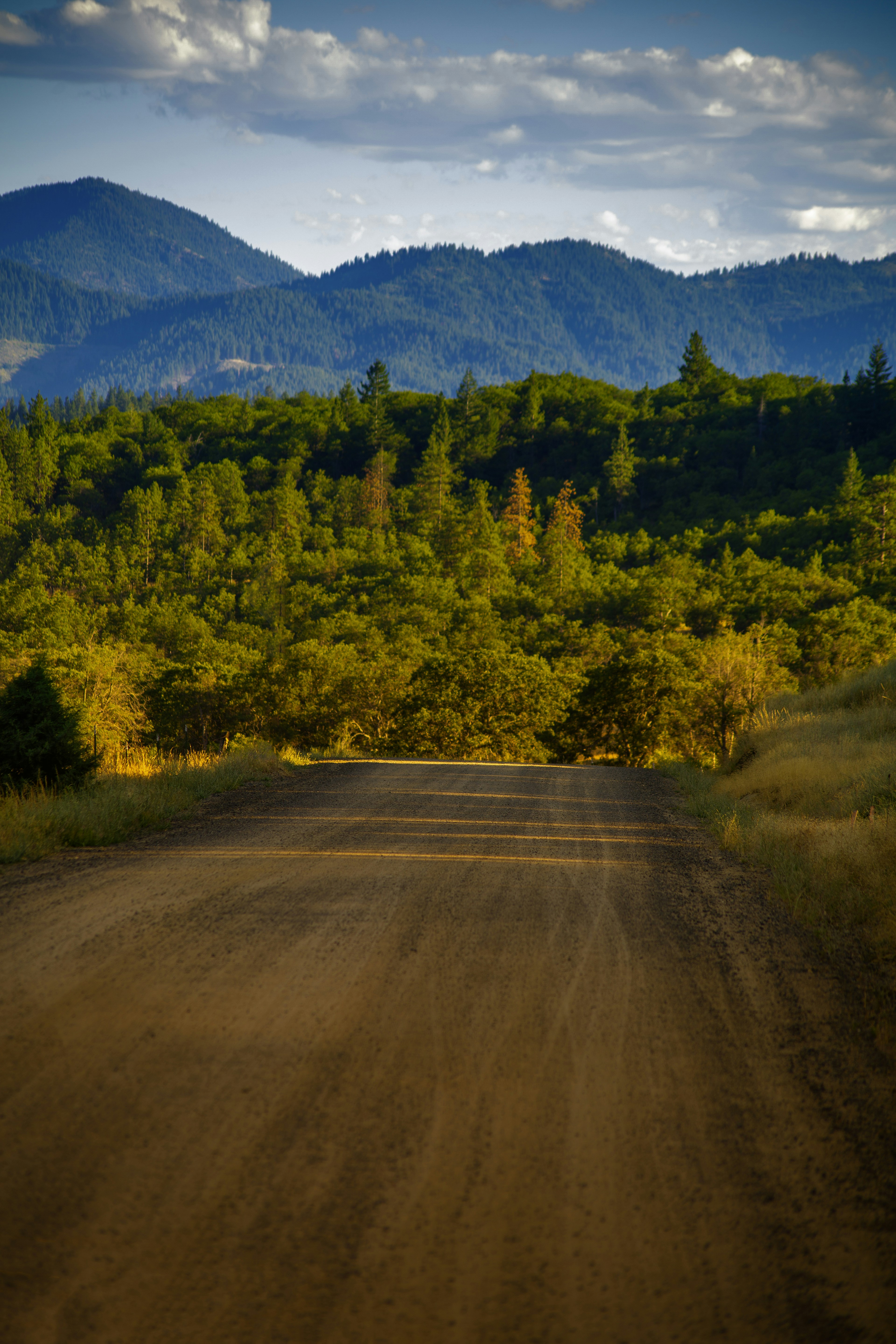 Dusty Road Toward Golden Pines Under a Mountain Sunset