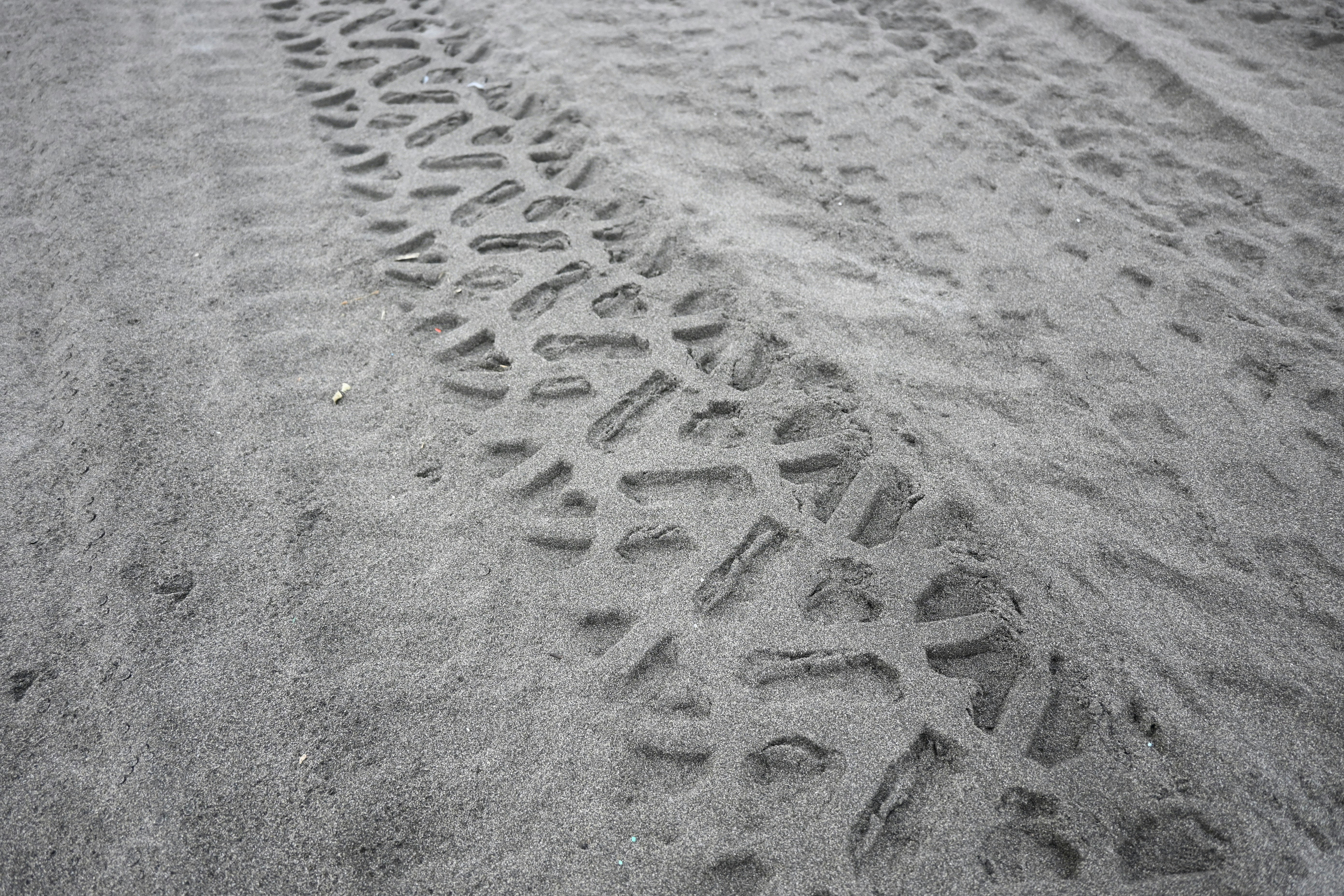 A tire track in the sand on a beach photo – Free Beach Image on Unsplash