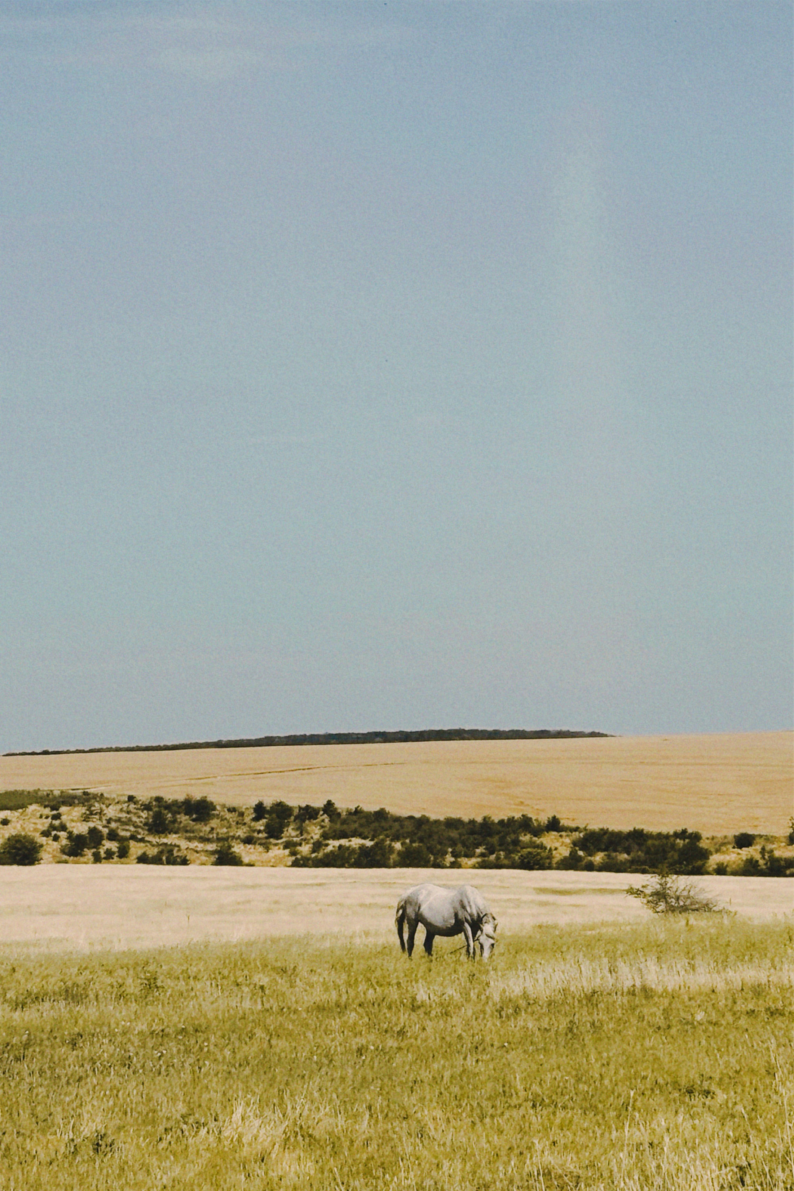 Sample photo from Apple iPhone 15 Plus