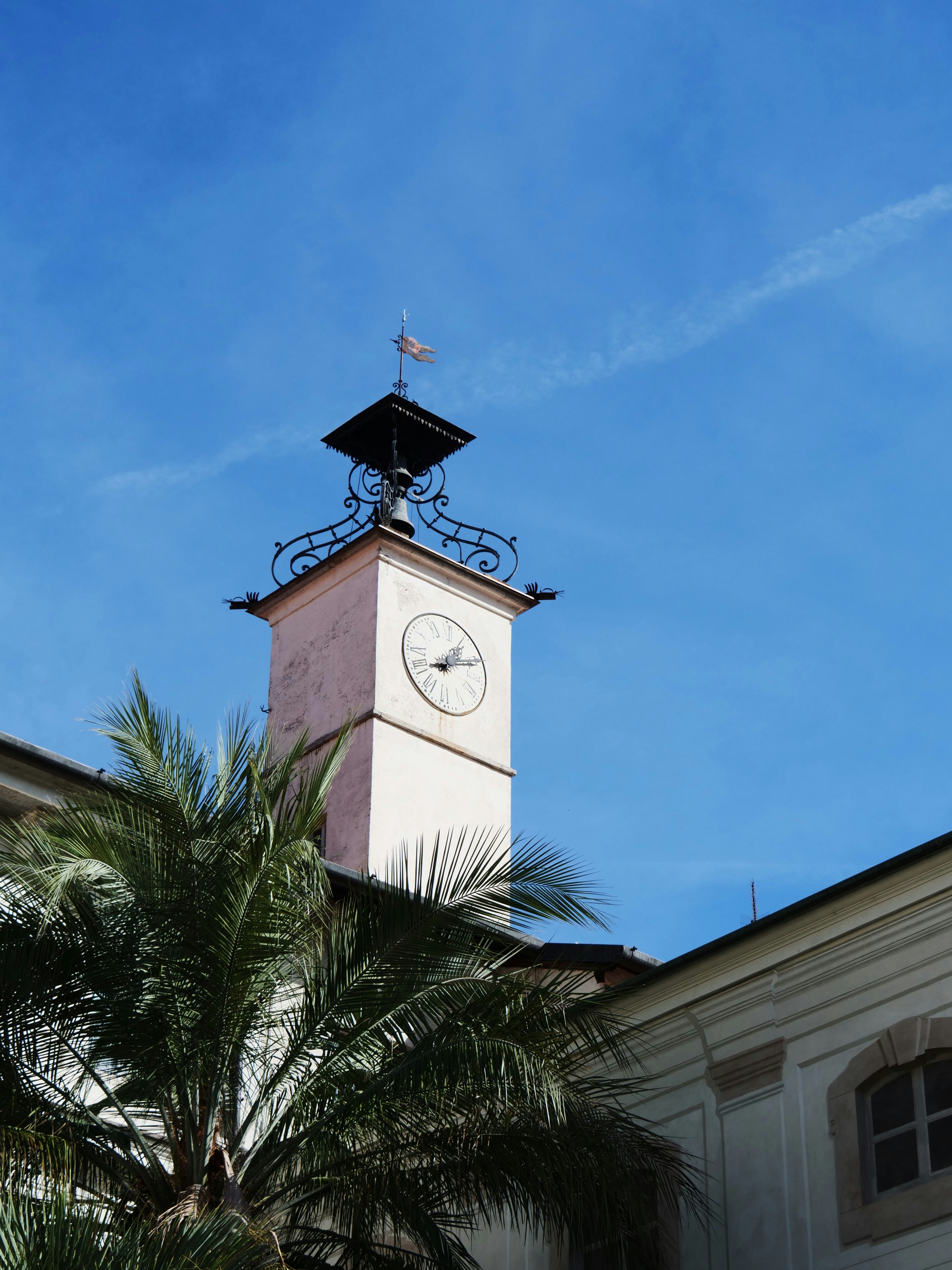 Sunlit Clocktower Over a Palm-Fringed Roof