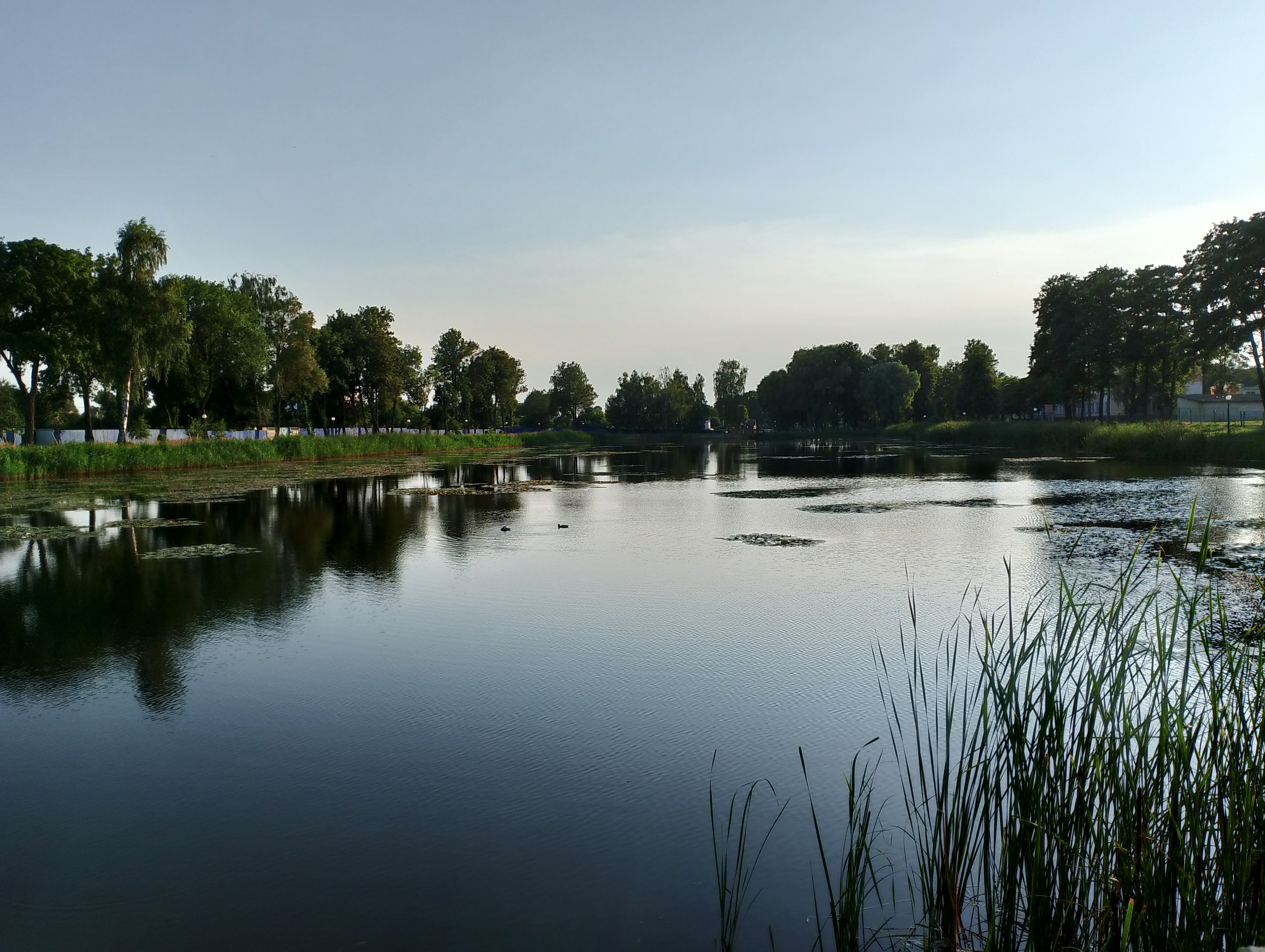 Sample photo from Realme C53