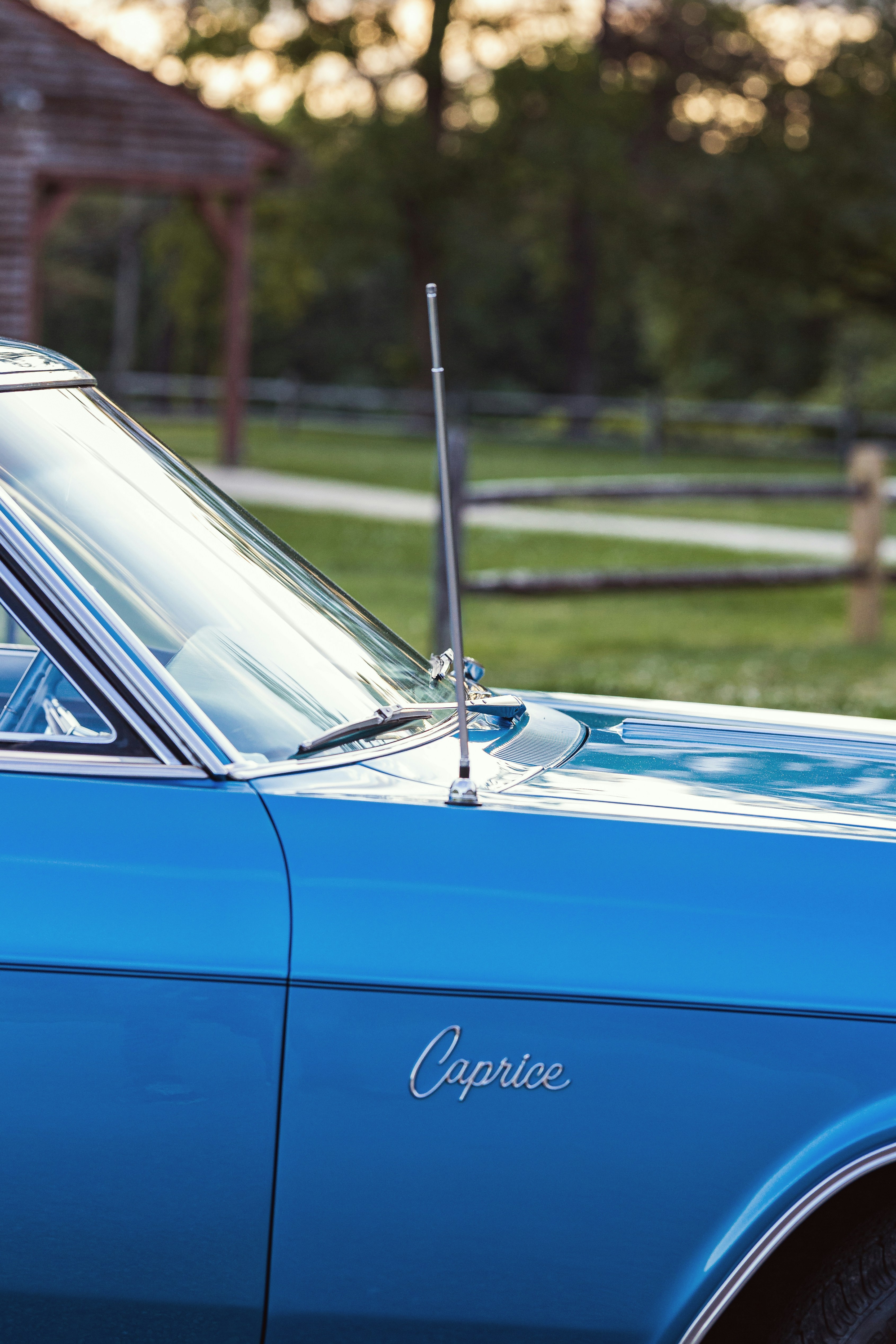 Azure Caprice in a Park: A Quiet Moment of Chrome and Sky