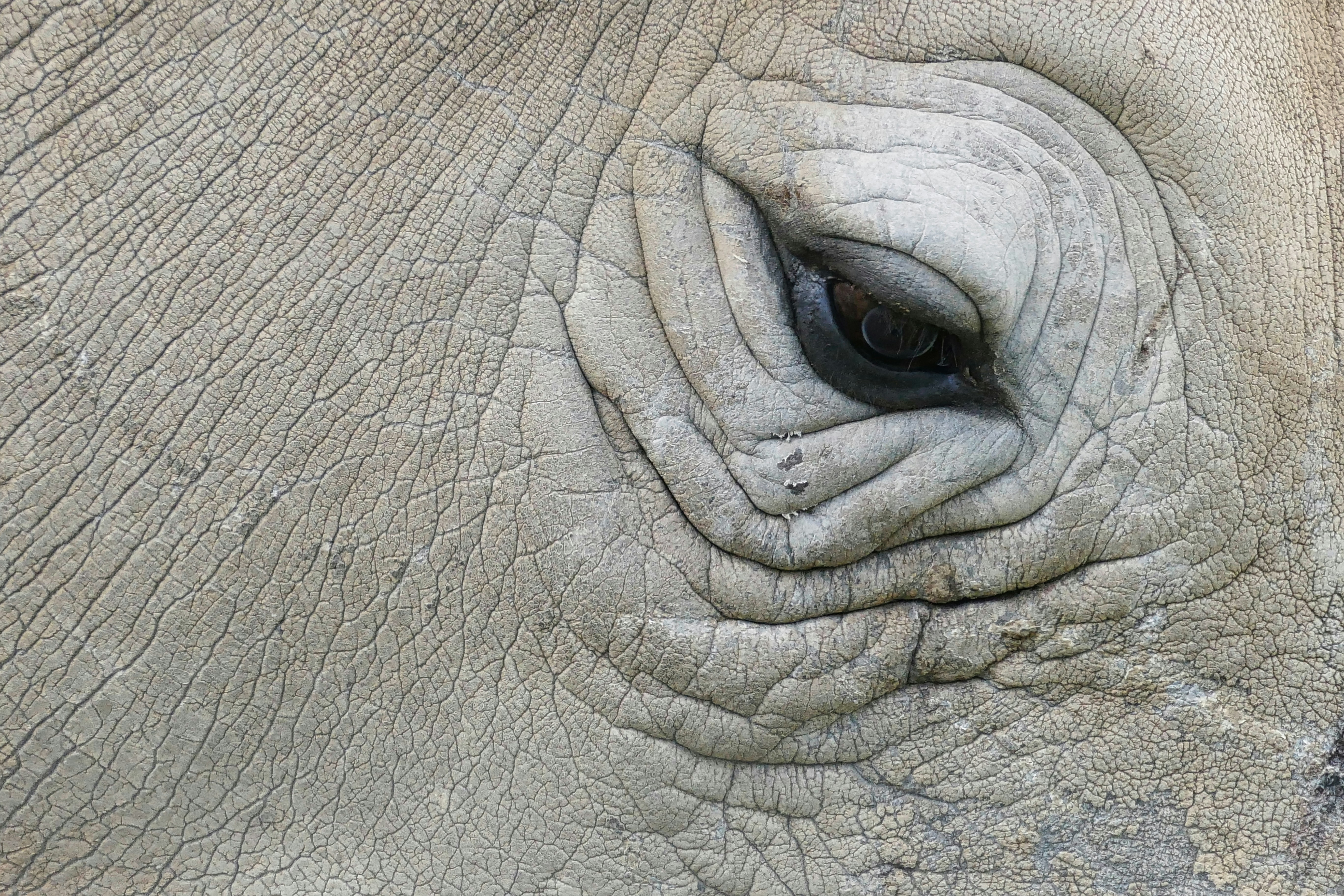 Sample photo from Panasonic Lumix FZ1000