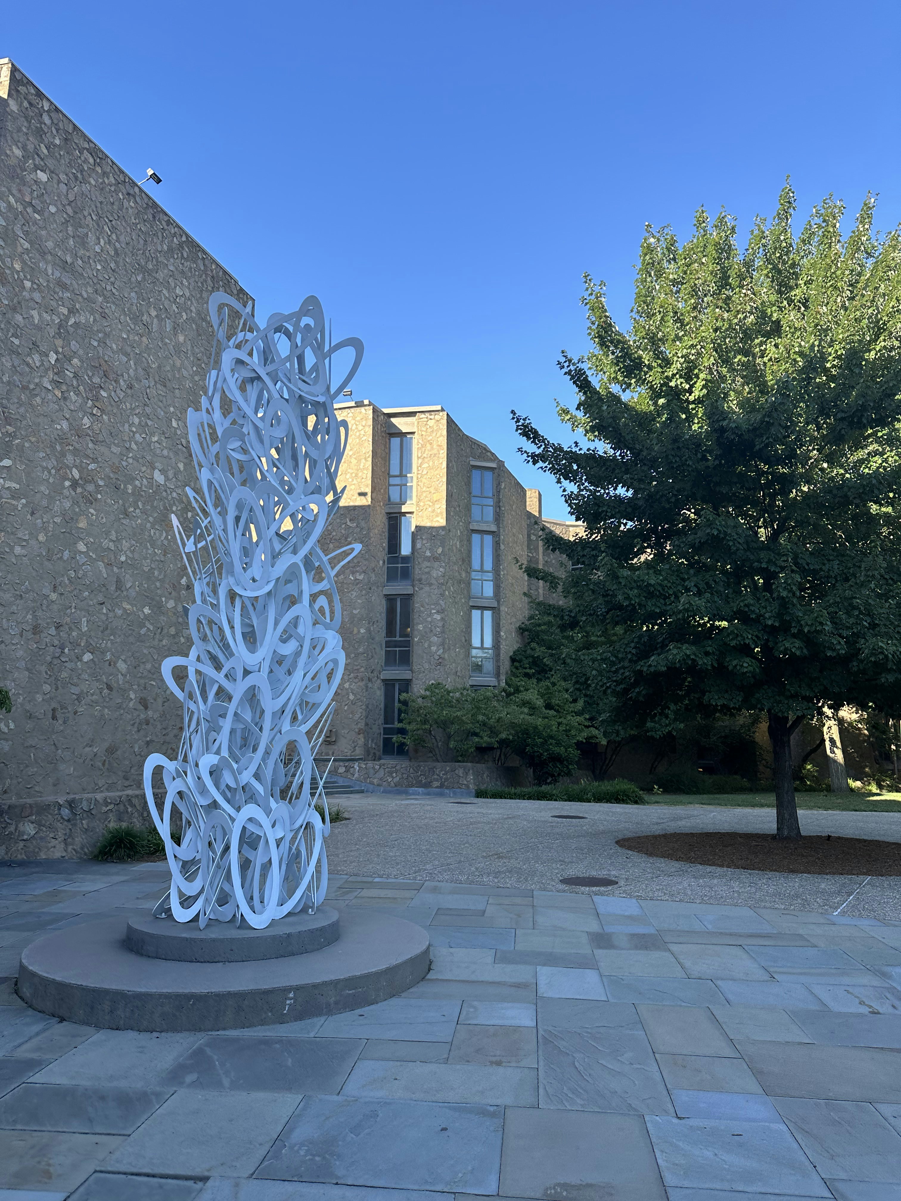 Looped Lattice of Light in a Quiet Campus Plaza