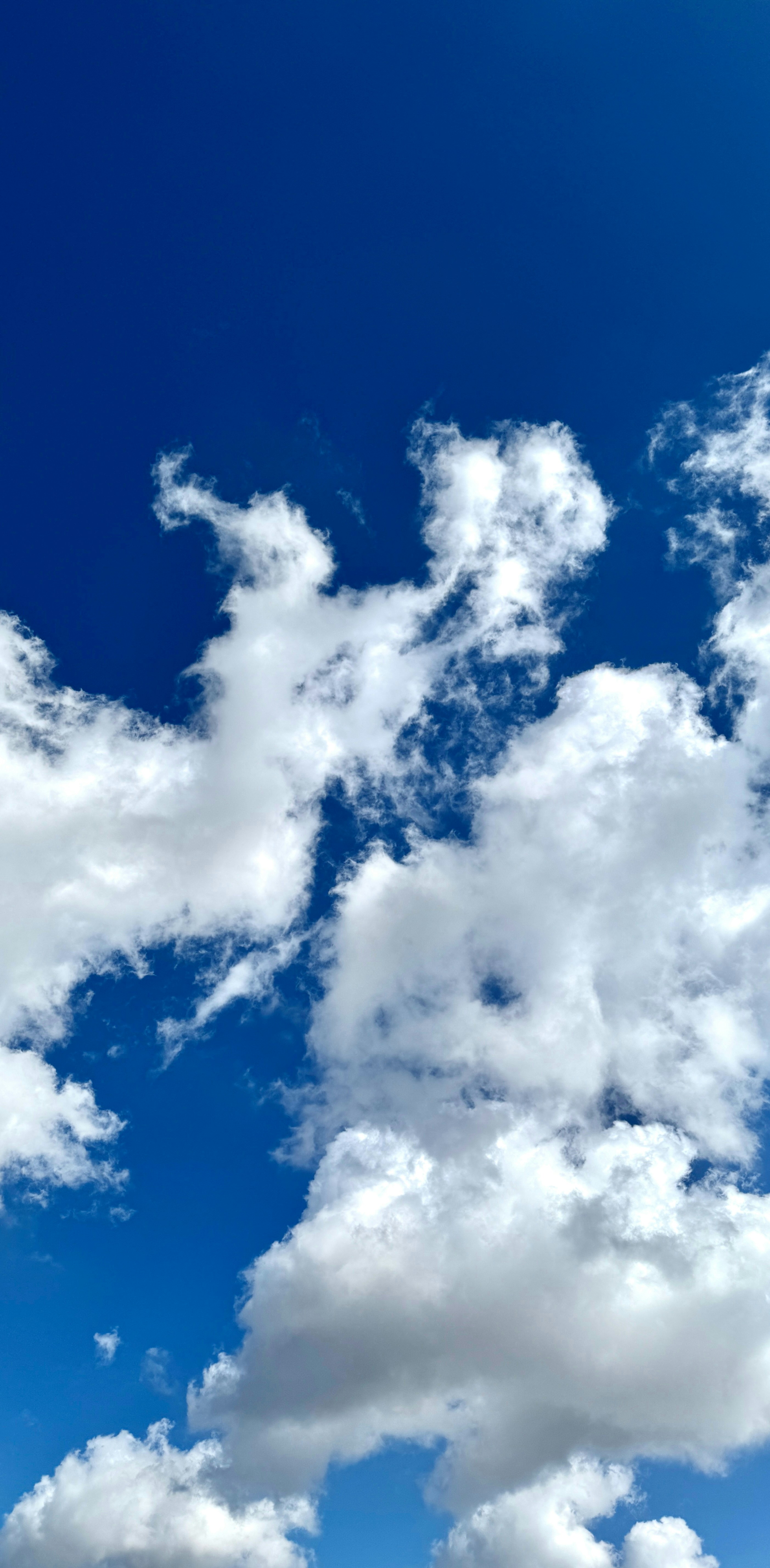 Azure Cathedral: Vertical Sky of Whipped Clouds