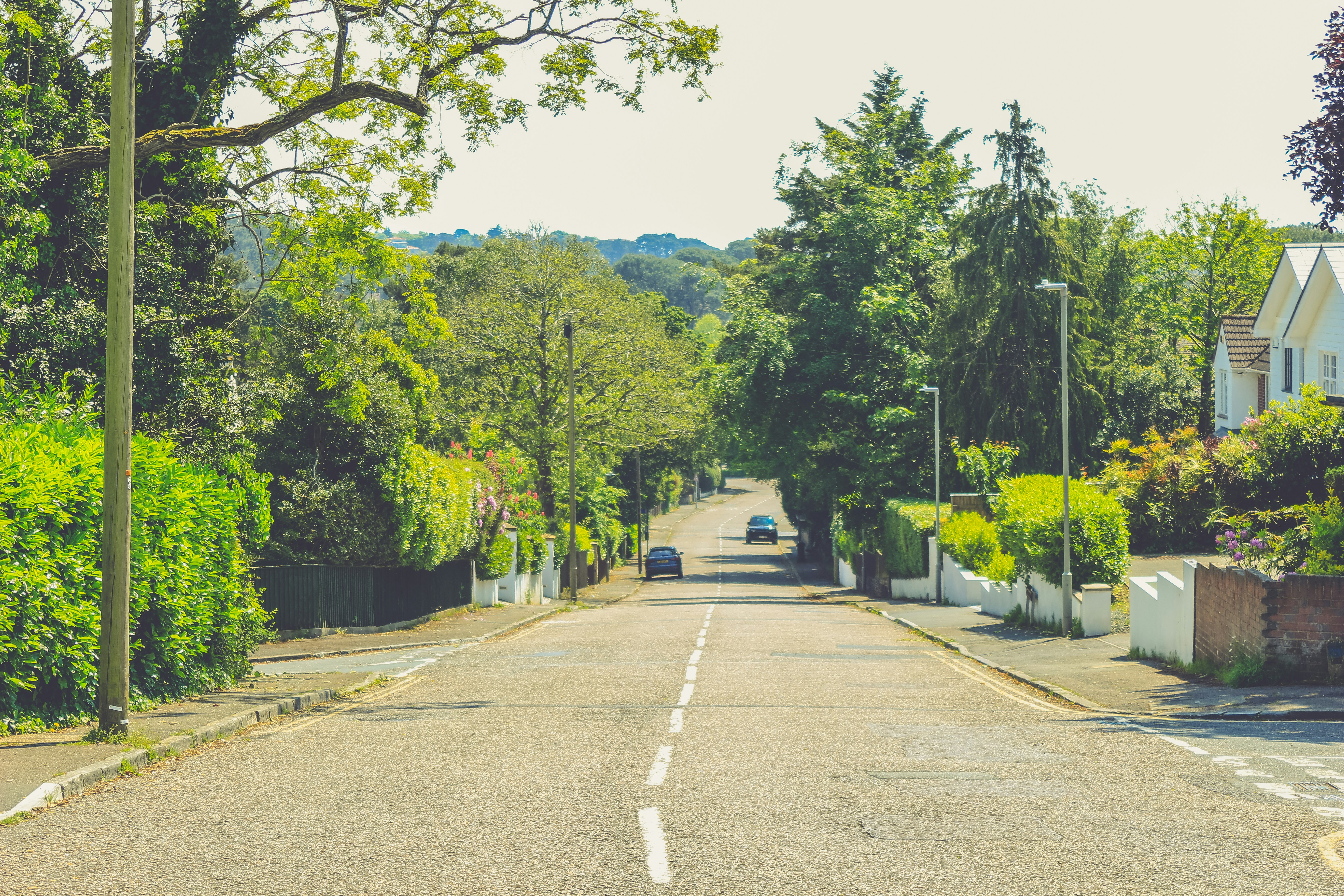 An empty street with trees and houses in the background photo – Free ...