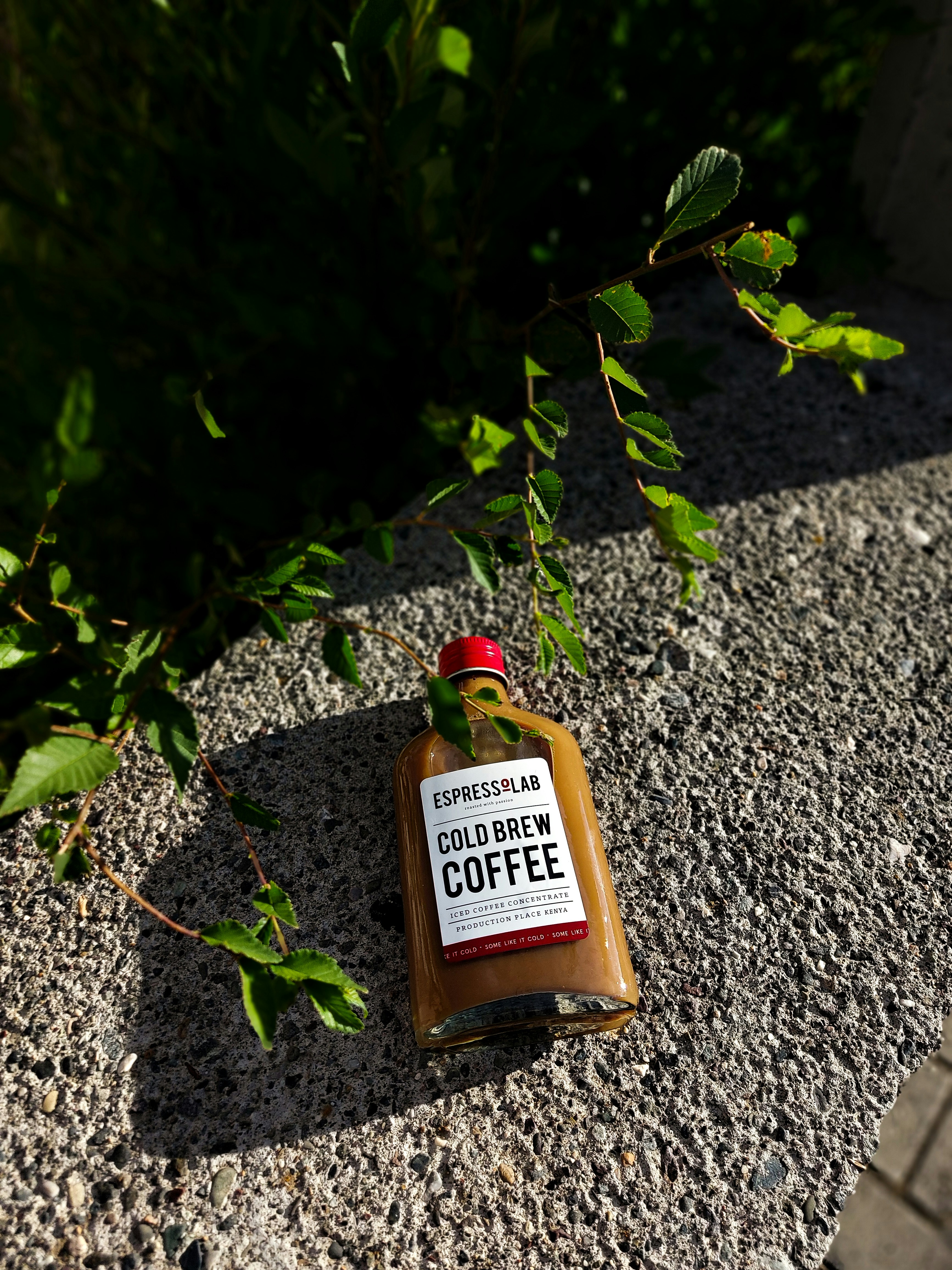 Espresso Lab Cold Brew: Sunlit Bottle on a Textured Granite Bench
